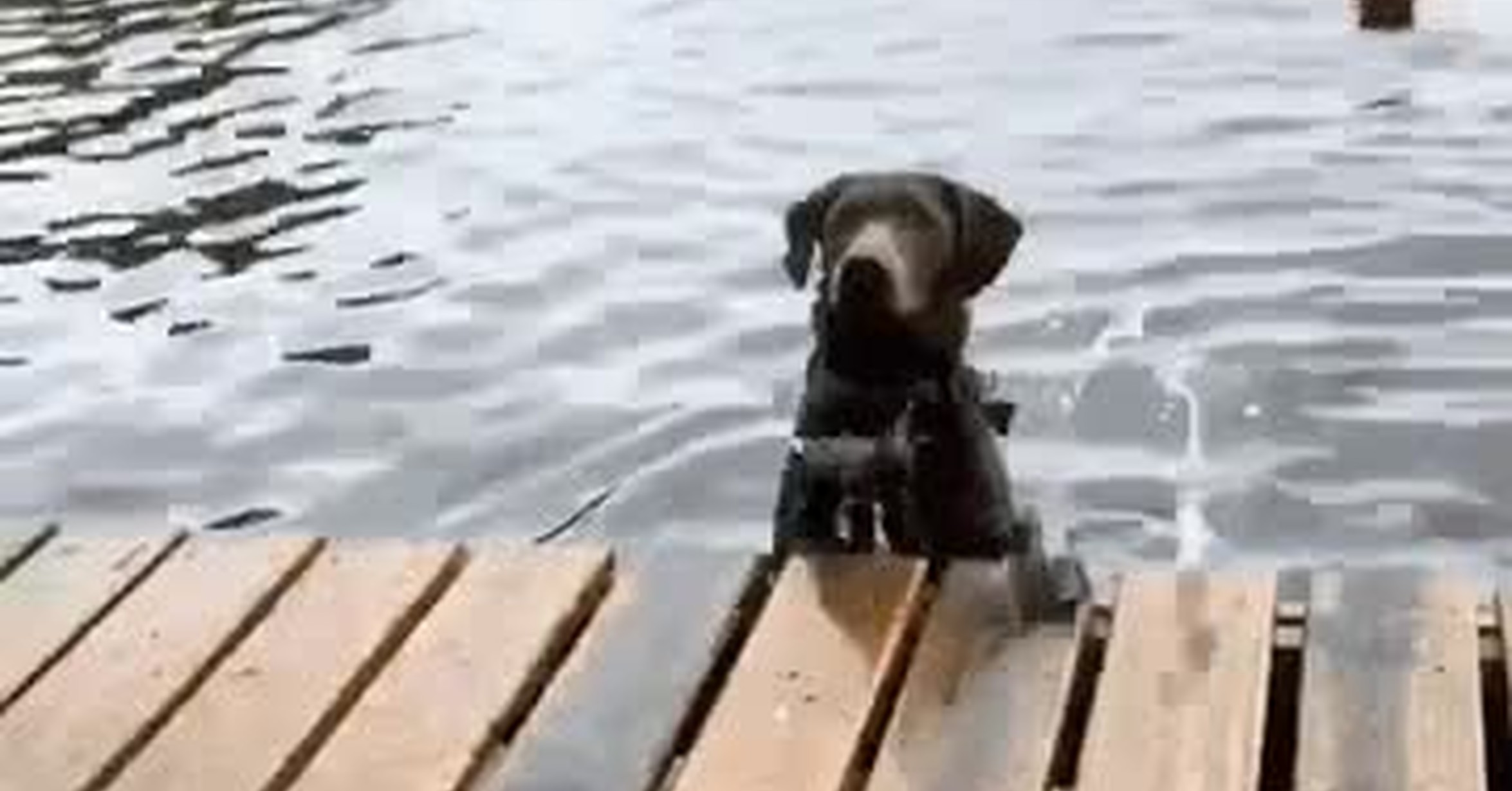 ¡Vaya GIF! / Tu cara cuando alguien ha dicho tu nombre