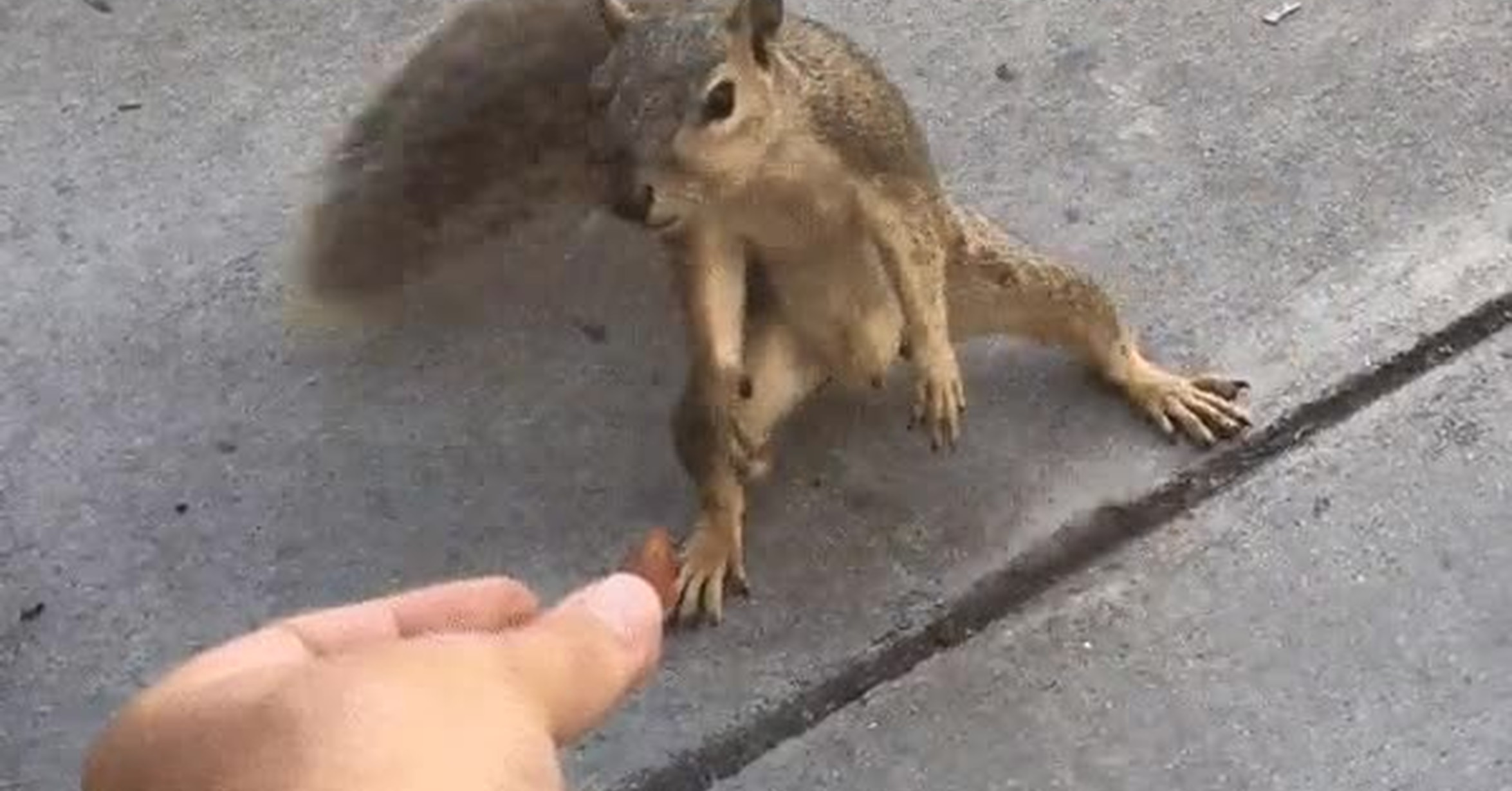 ¡Vaya GIF! / Creo que hoy he hecho un nuevo amigo