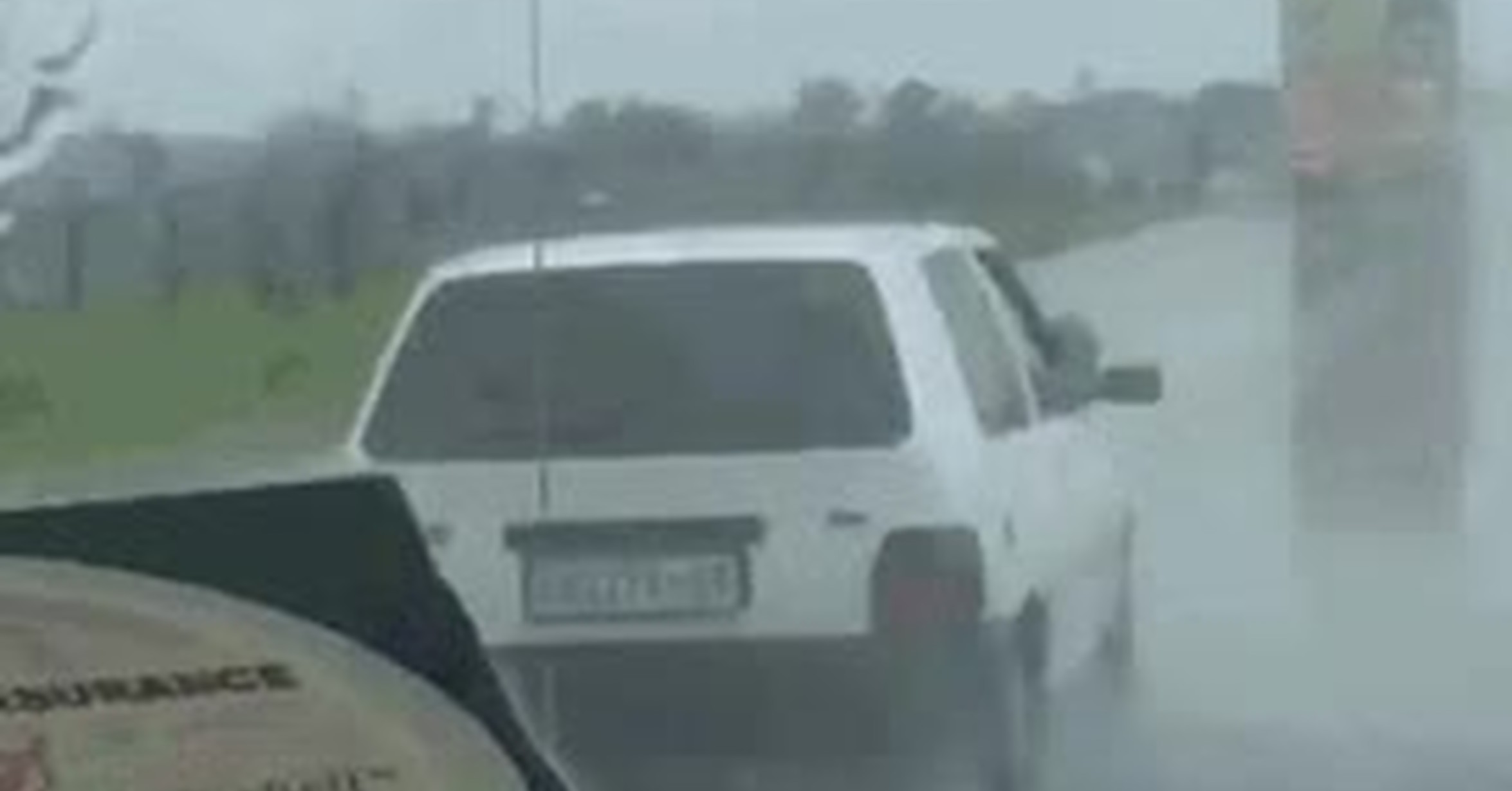 ¡Vaya GIF! / En esta vida lo importante es saber adaptarse