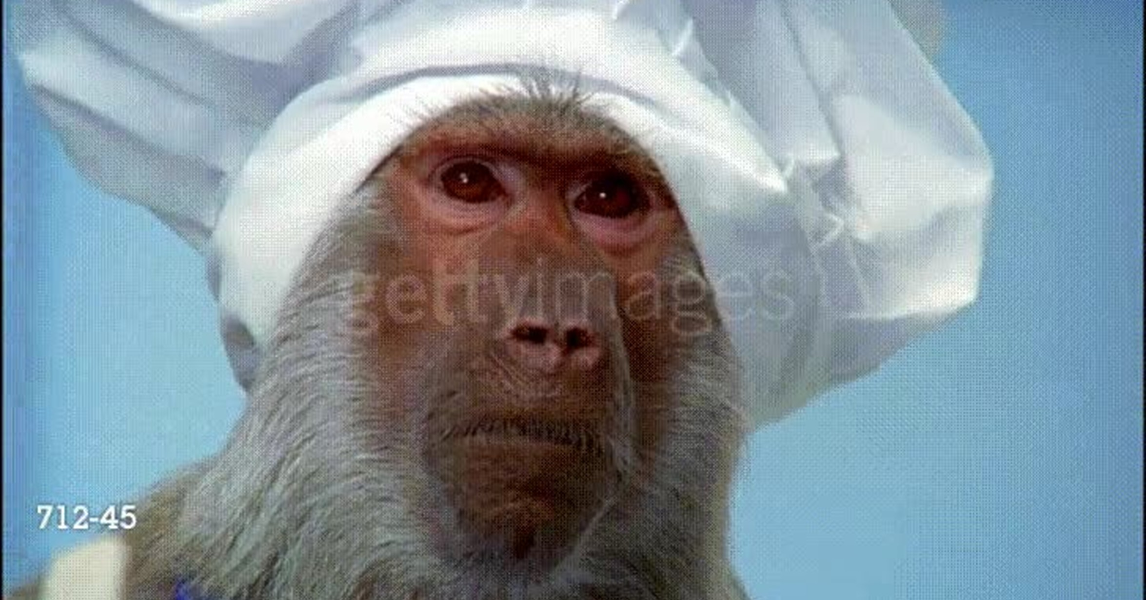 ¡Vaya GIF! / Cuando tengo que hacerme la cena pero no se qué cocinar