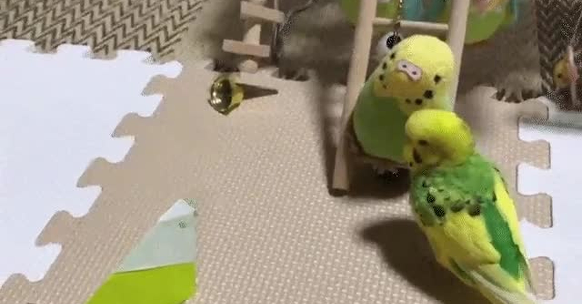 ¡Vaya GIF! / La competencia debe ser eliminada