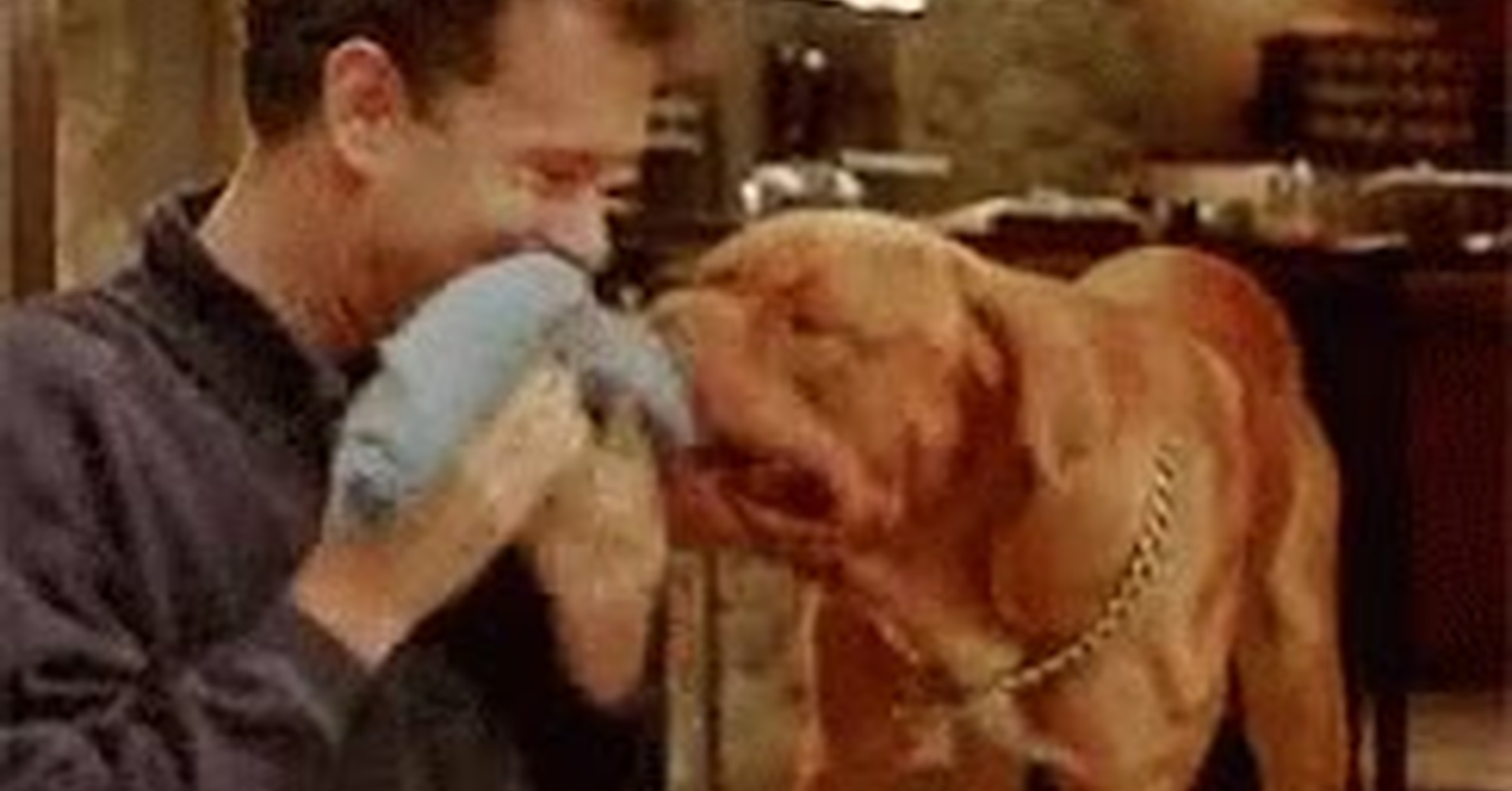 ¡Vaya GIF! / La lucha por una toalla limpia en una casa con familia ...