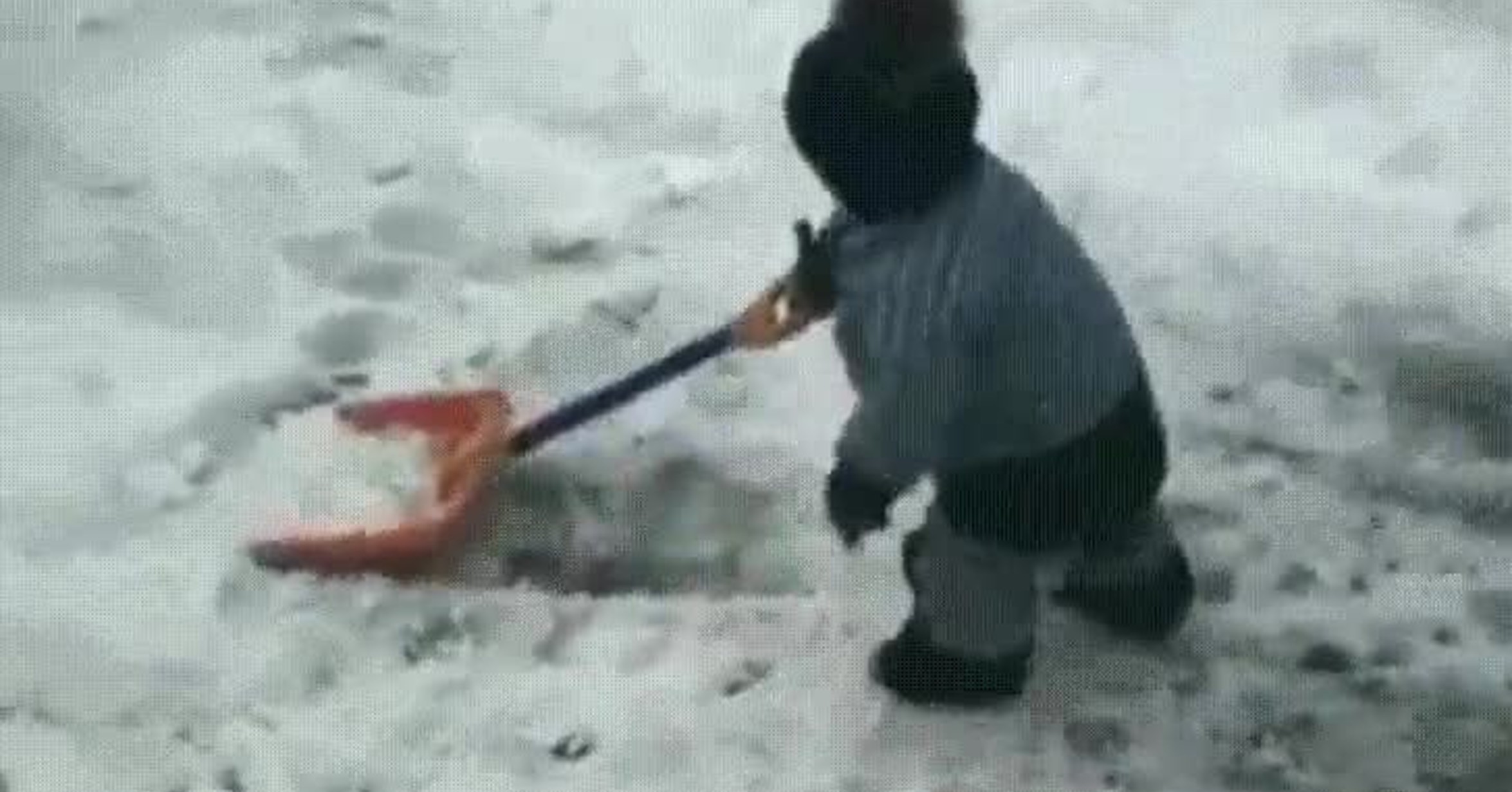 ¡Vaya GIF! / Así fue el primer día de trabajo para muchos de nosotros