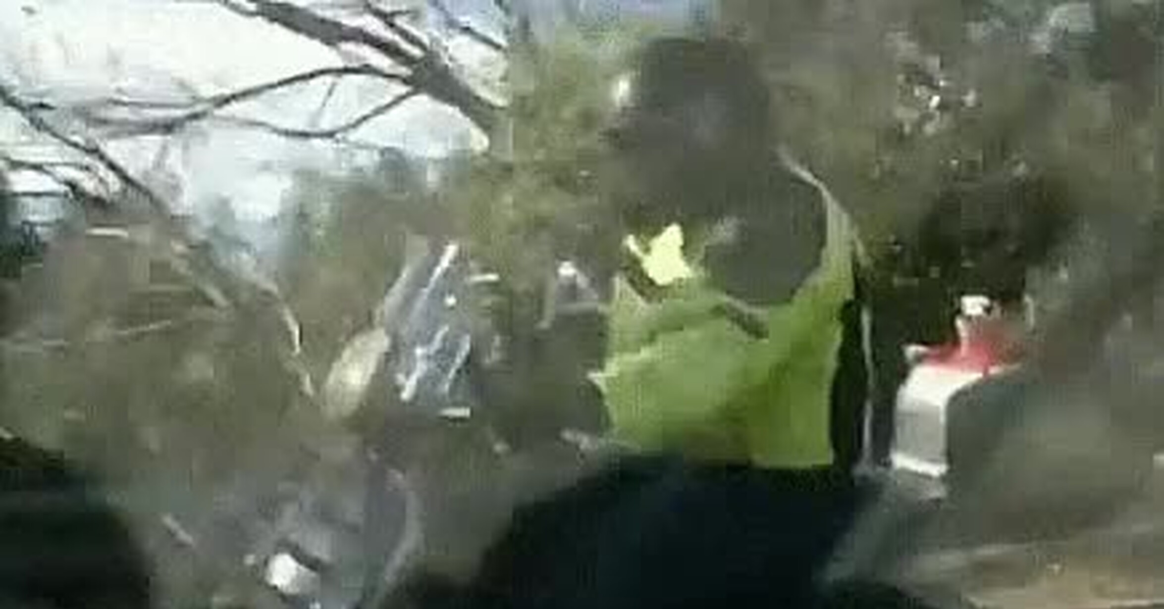 ¡Vaya GIF! / Este perro tiene más estilo de copiloto que todos nosotros ...