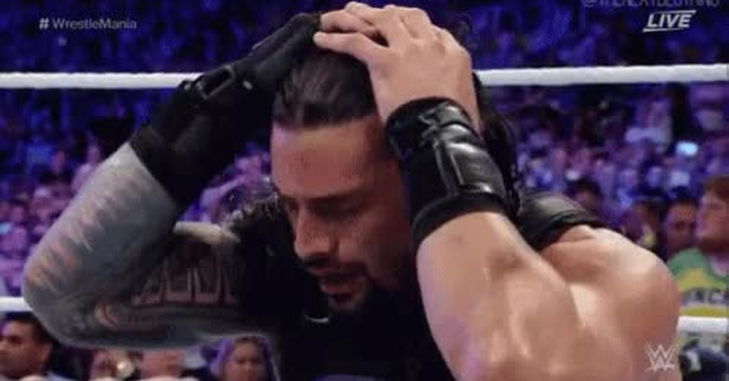 ¡Vaya GIF! / Mi mujer acaba de hablar con sus padres y les ha dicho que ...