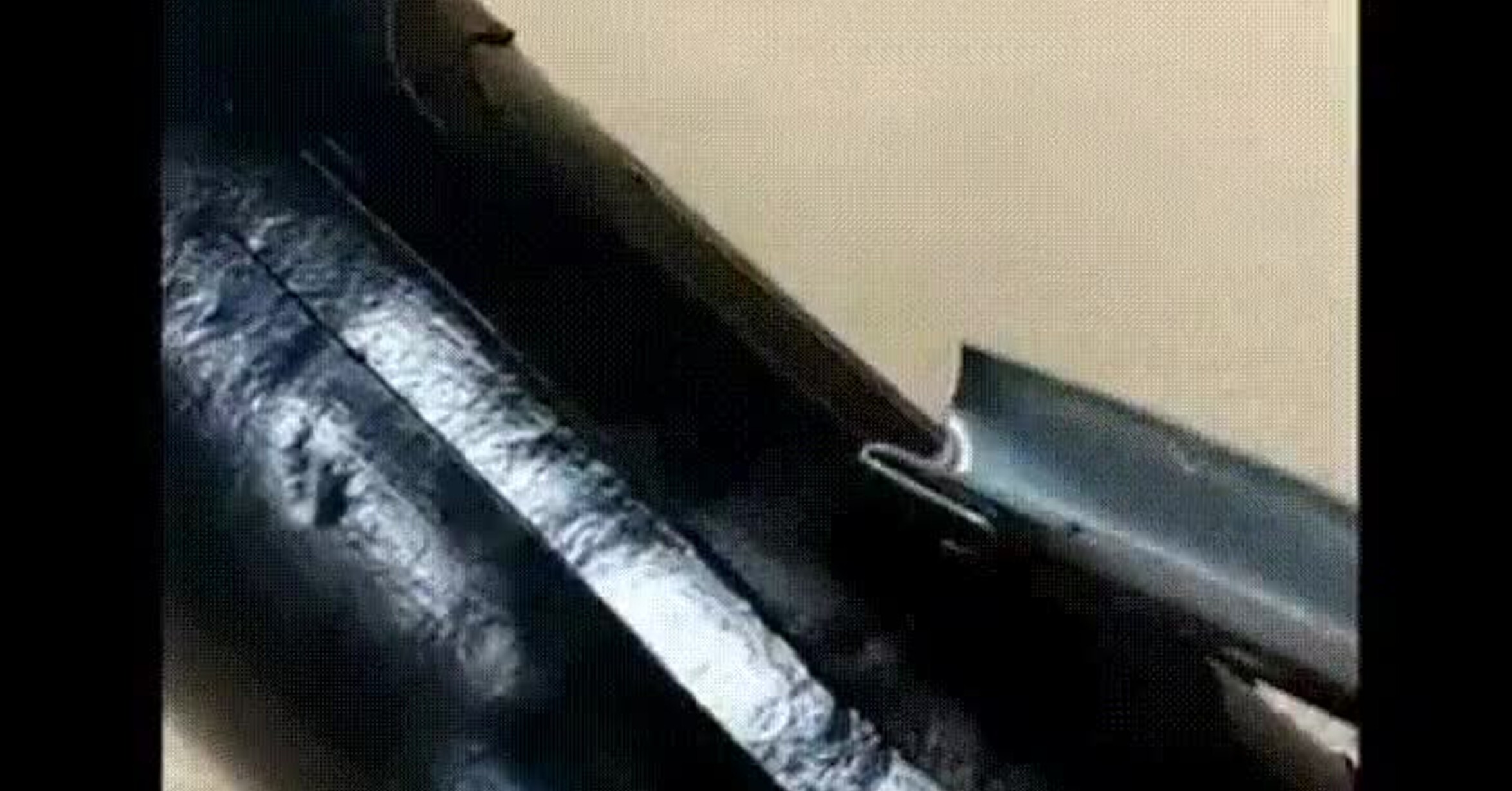 ¡Vaya GIF! / Preparando banderillas para fiesta vegana