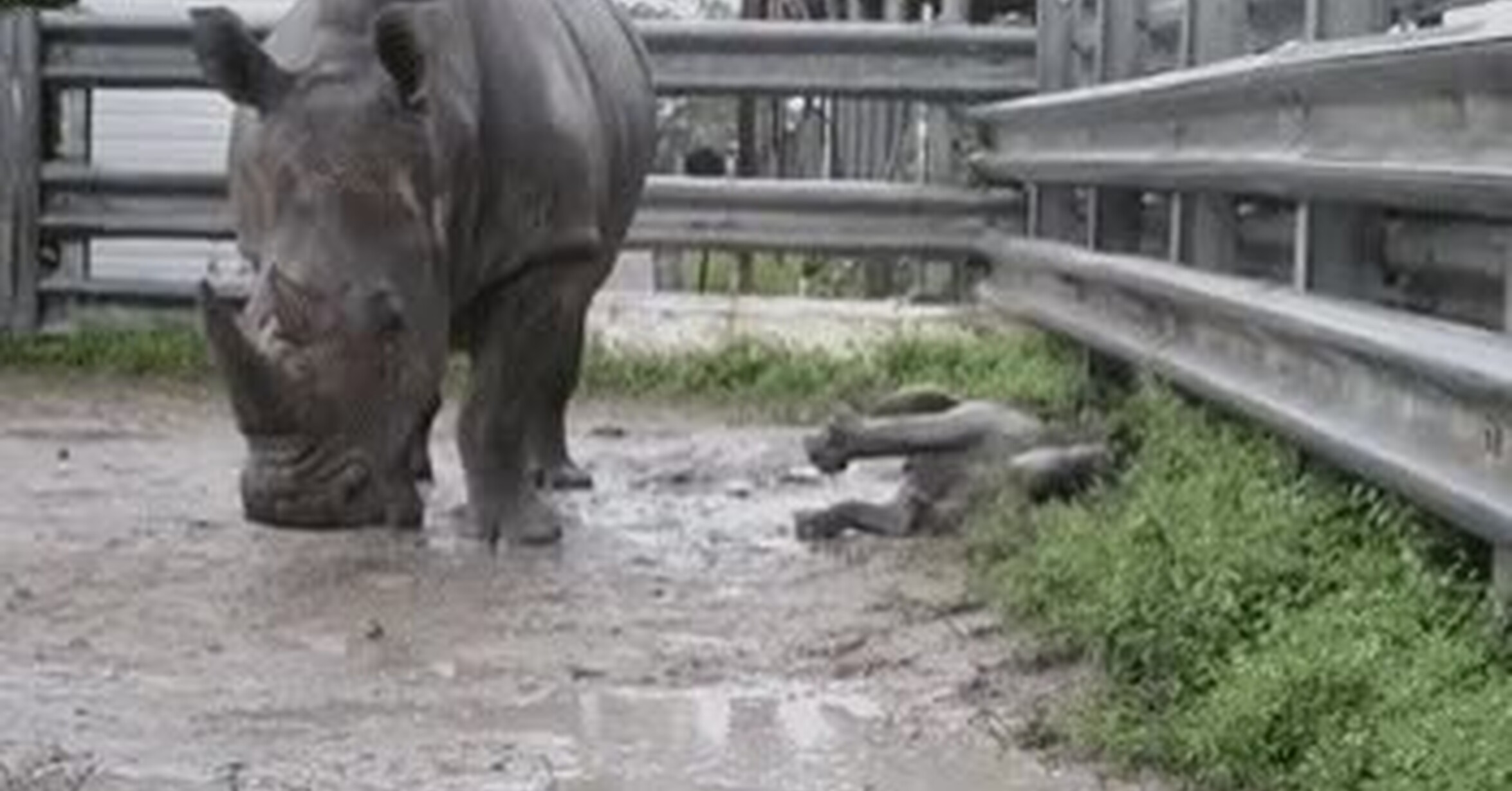 ¡Vaya GIF! / Yo en la cama intentando encontrar una postura cómoda para ...