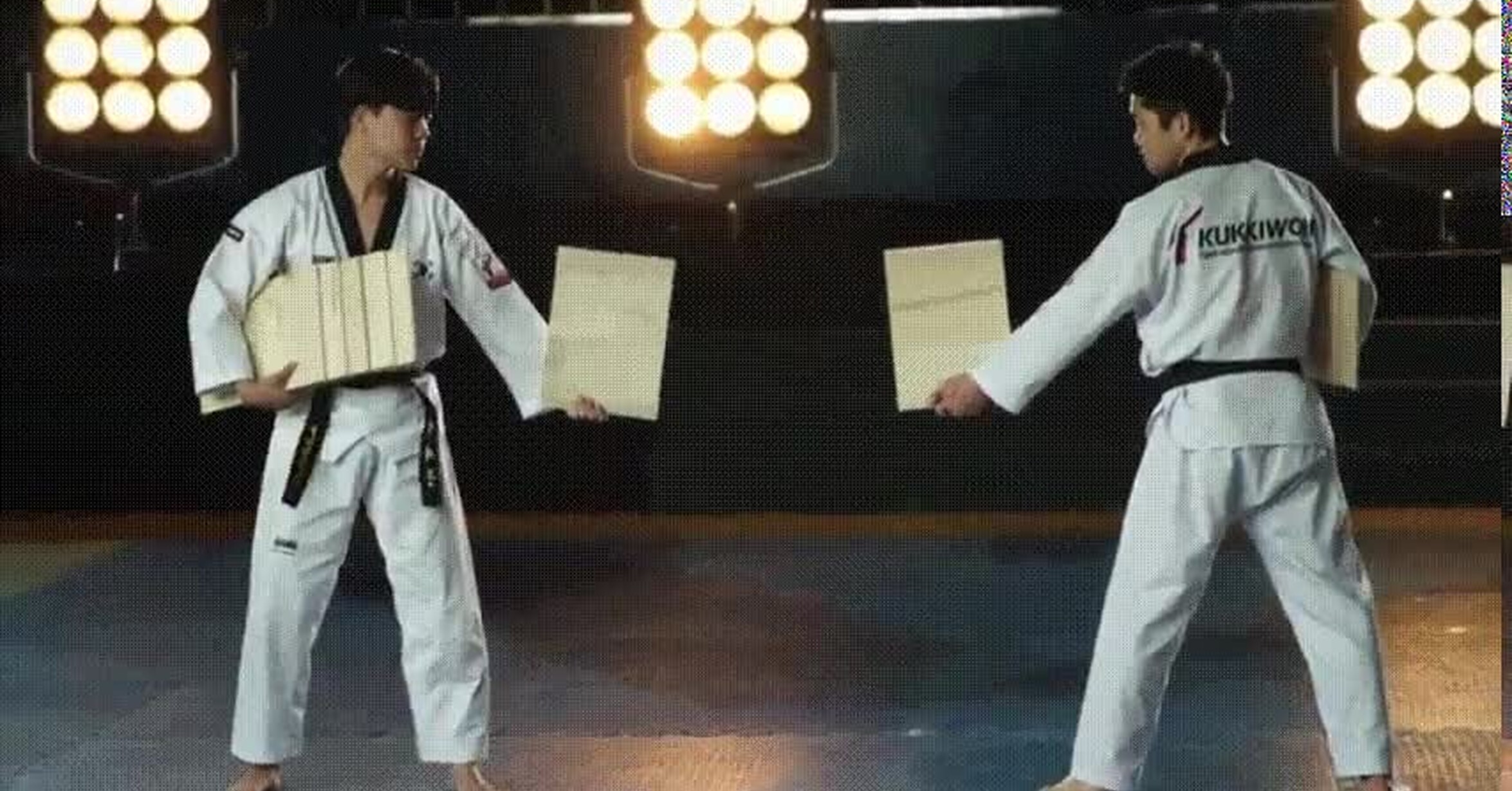 ¡Vaya GIF! / La mejor forma de practicar esas patadas