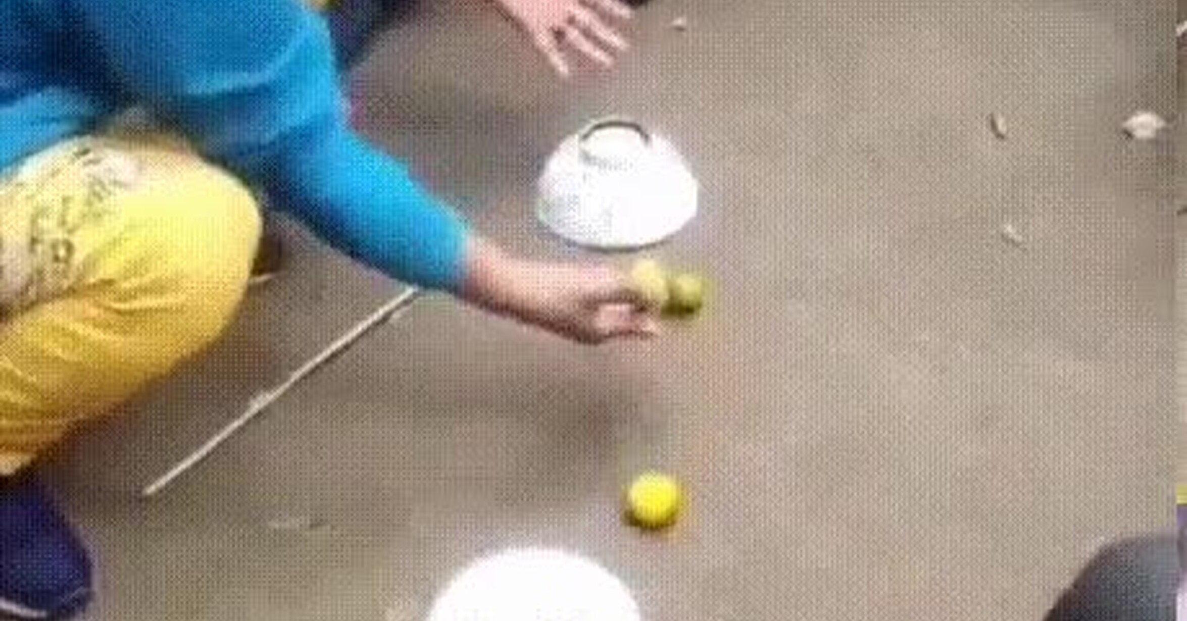 ¡Vaya GIF! / Se quedan todos literalmente flipando