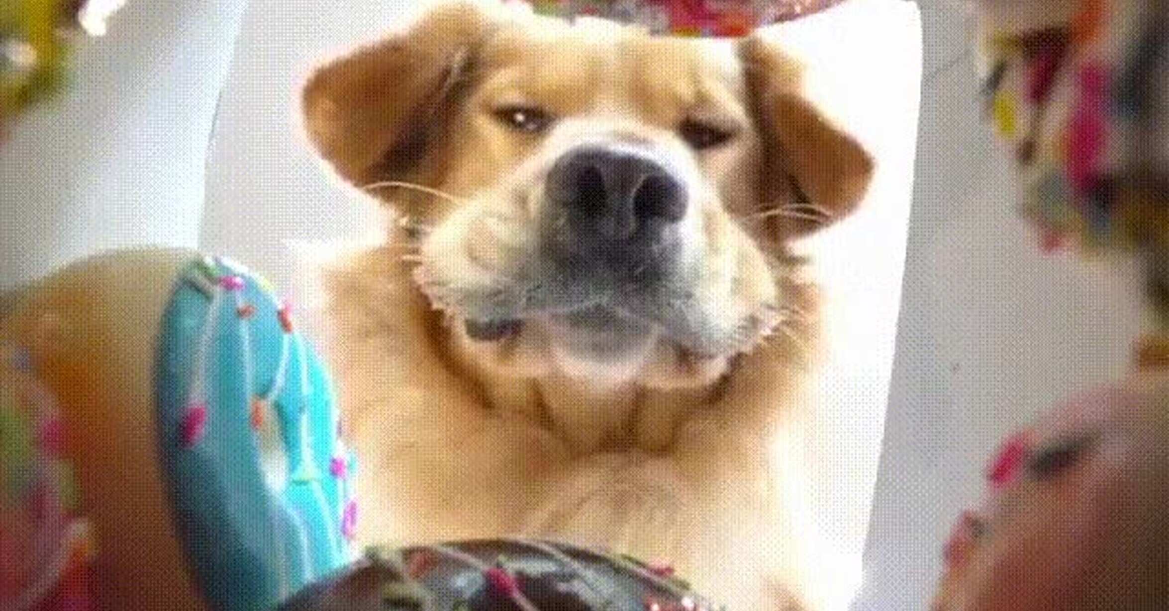 ¡Vaya GIF! / Cuando estás a dieta y alguien lleva una caja de donuts a ...