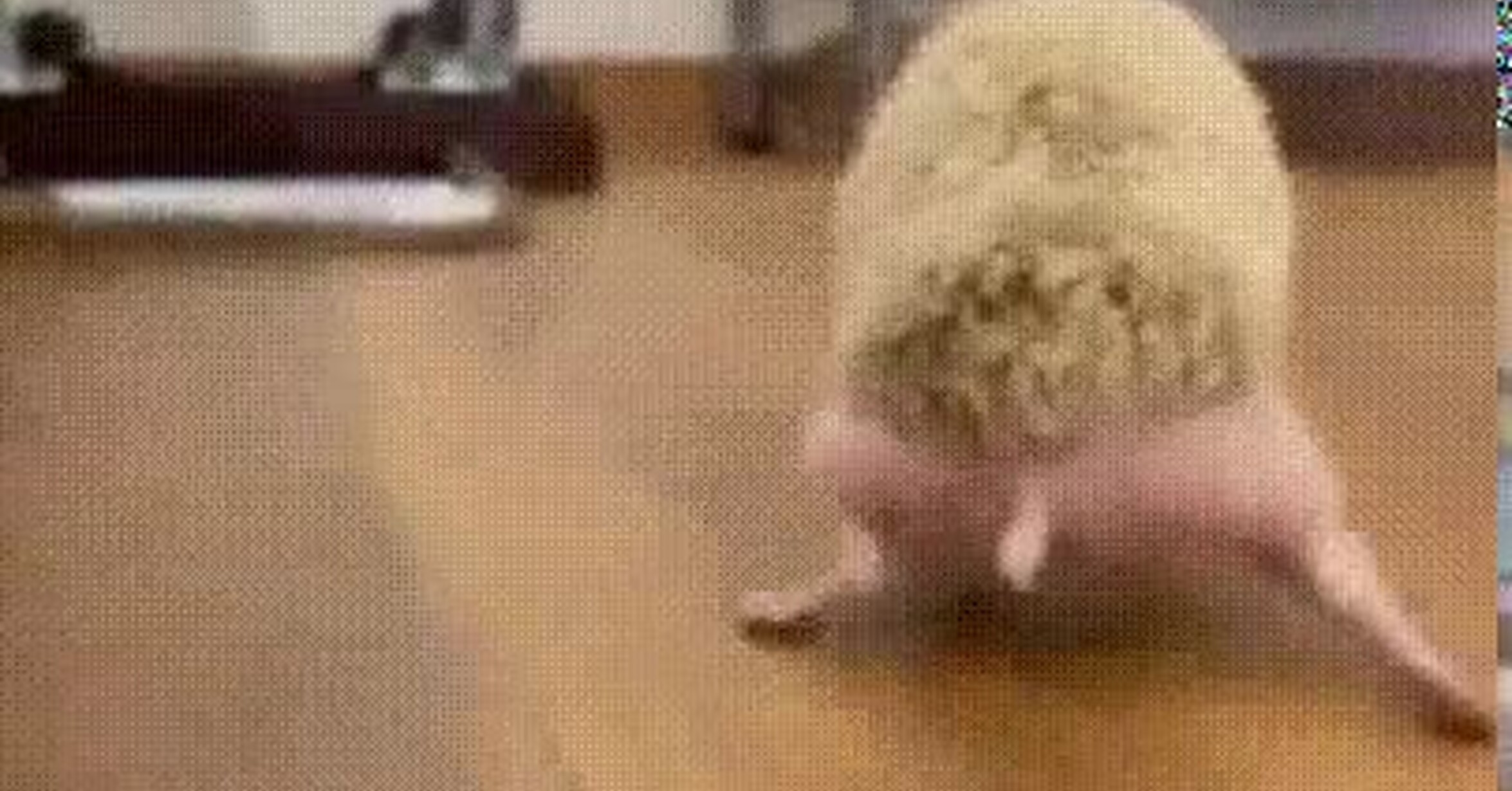 ¡Vaya GIF! / A Sonic le ha salido competencia