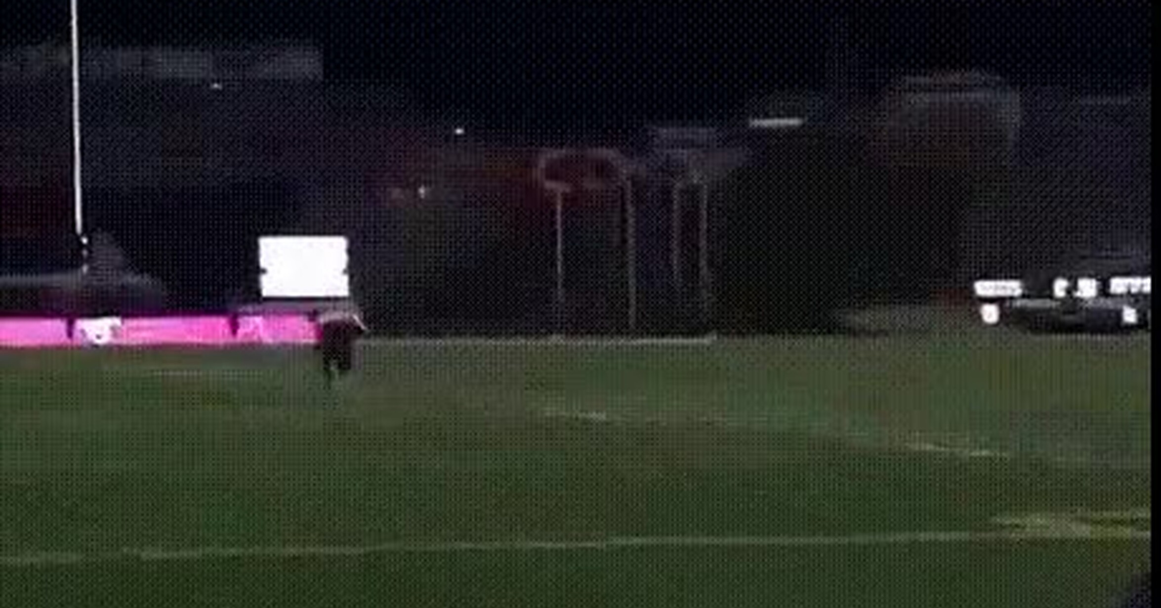 ¡Vaya GIF! / Es una pasada ver cómo el perro atrapa el frisbee