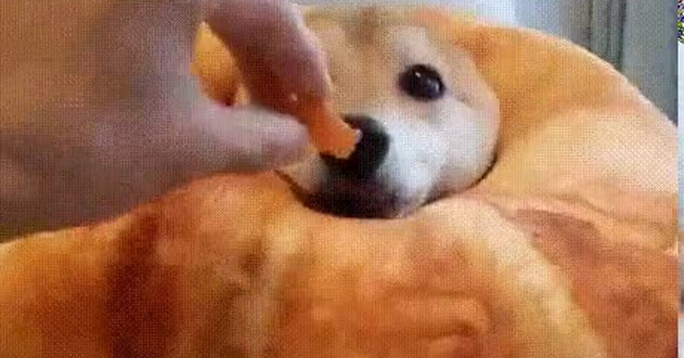 ¡Vaya GIF! / Plink Plonk!