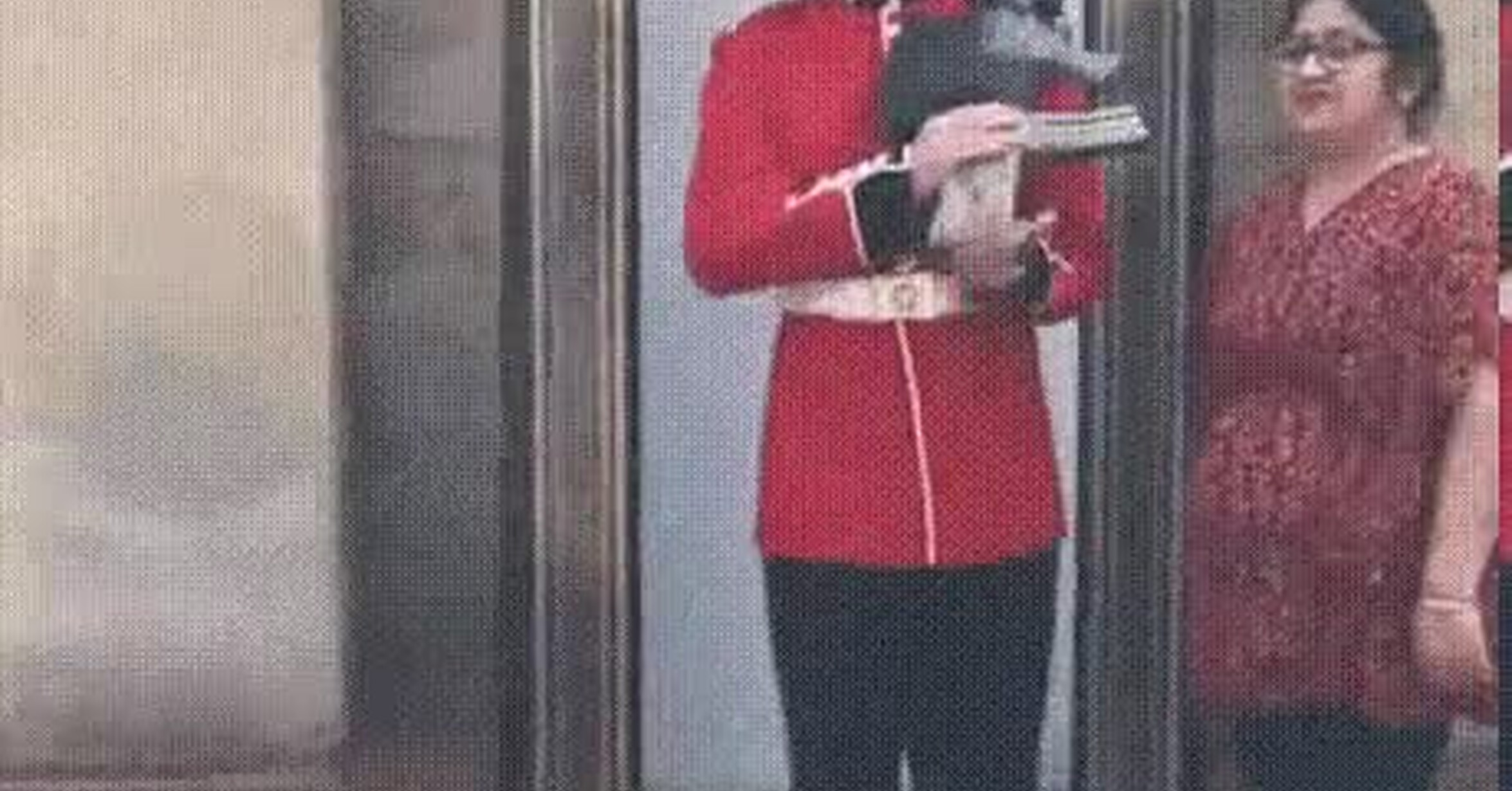 ¡Vaya GIF! / Creo que estaba en el sitio equivocado