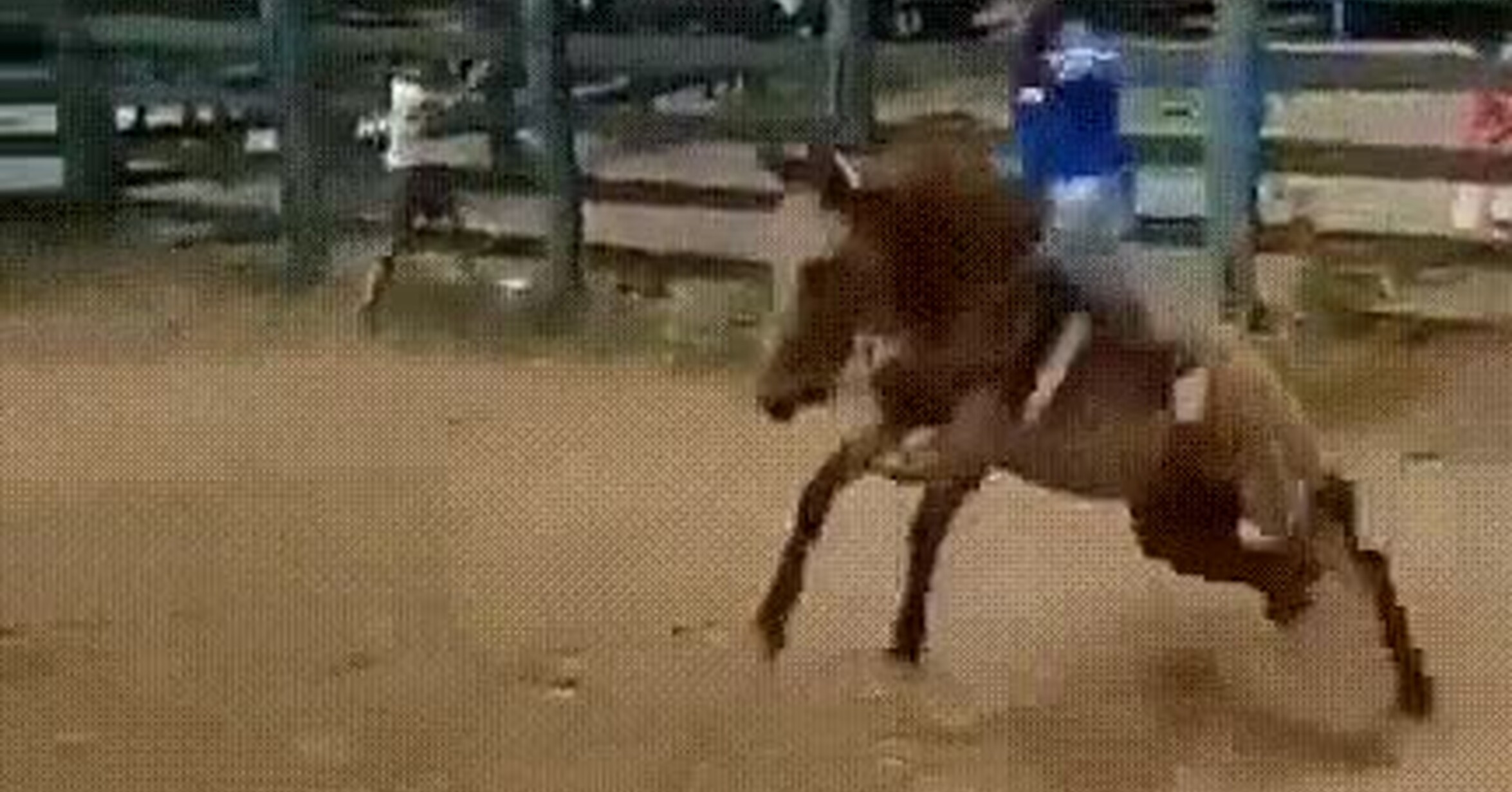 ¡Vaya GIF! / No sabía que podían hacer eso