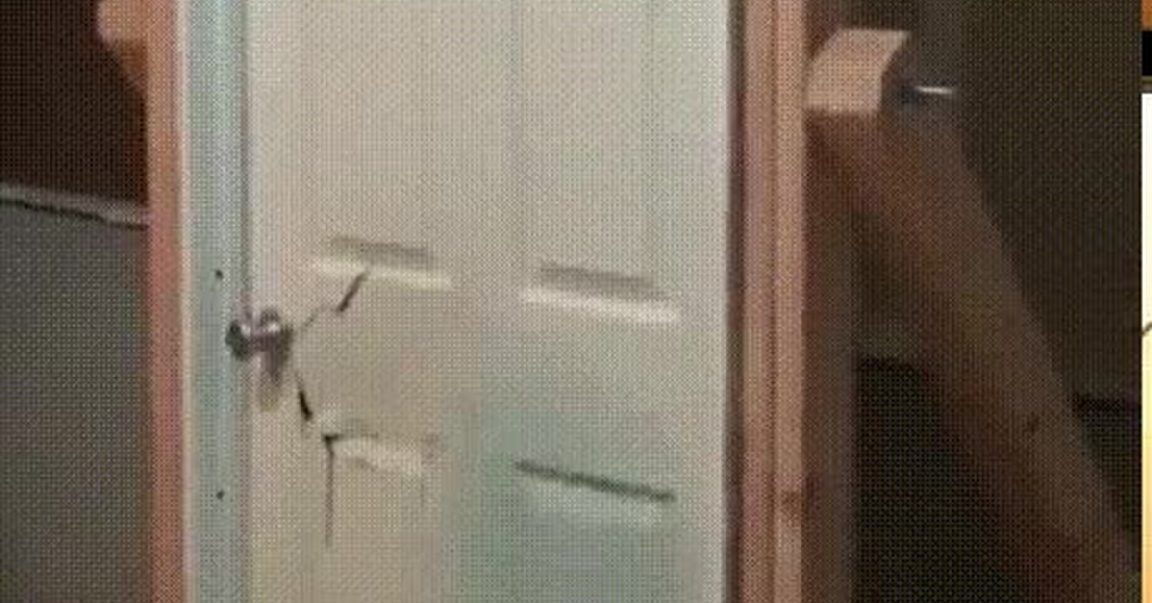 ¡Vaya GIF! / Puertas que te protegen de cualquier peligro