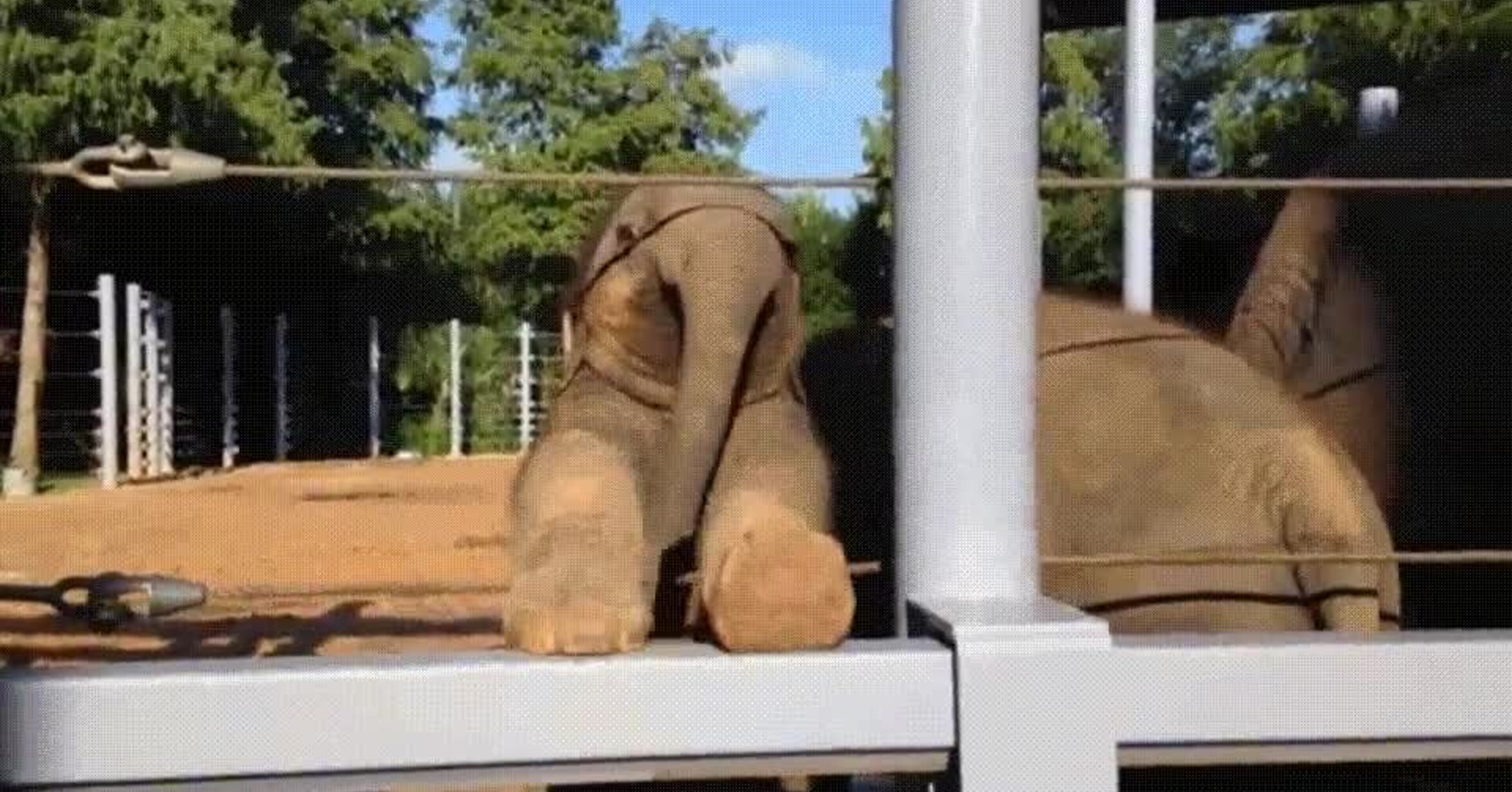 ¡Vaya GIF! / Yo intentando ligar con la camarera