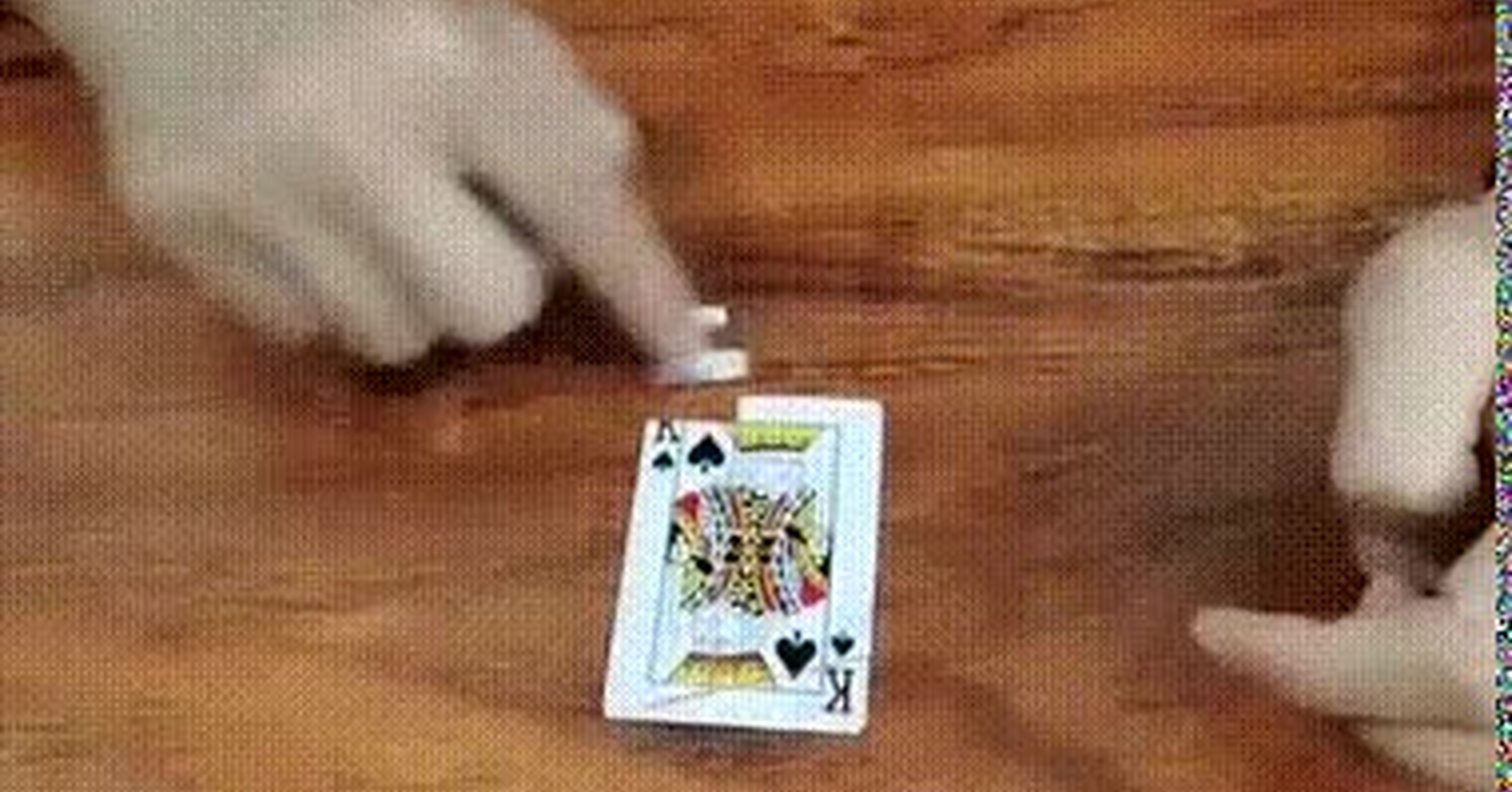 ¡Vaya GIF! / ¿Alguien me explica este truco de magia?