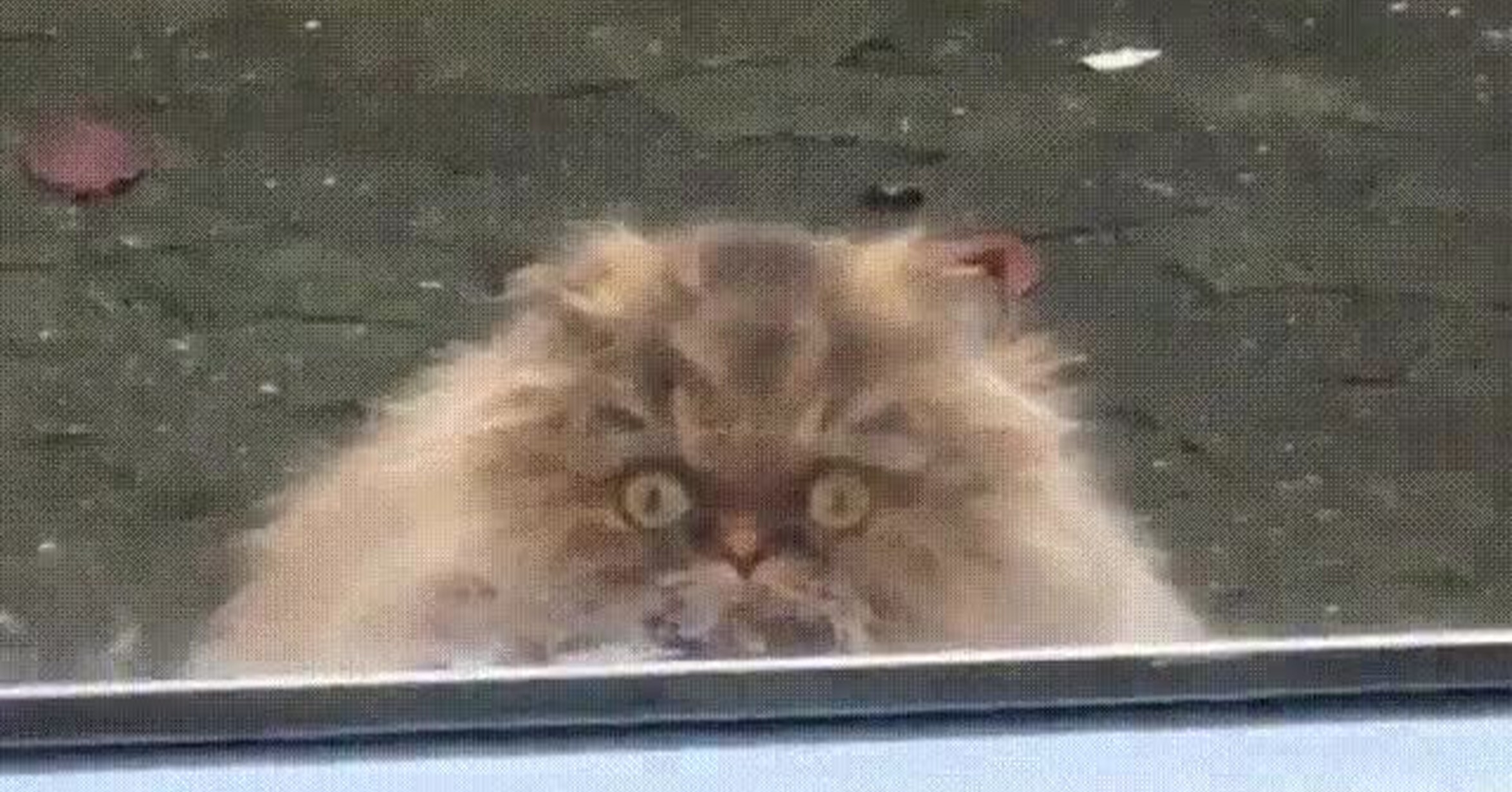 ¡Vaya GIF! / Recuerda que siempre te estoy mirando