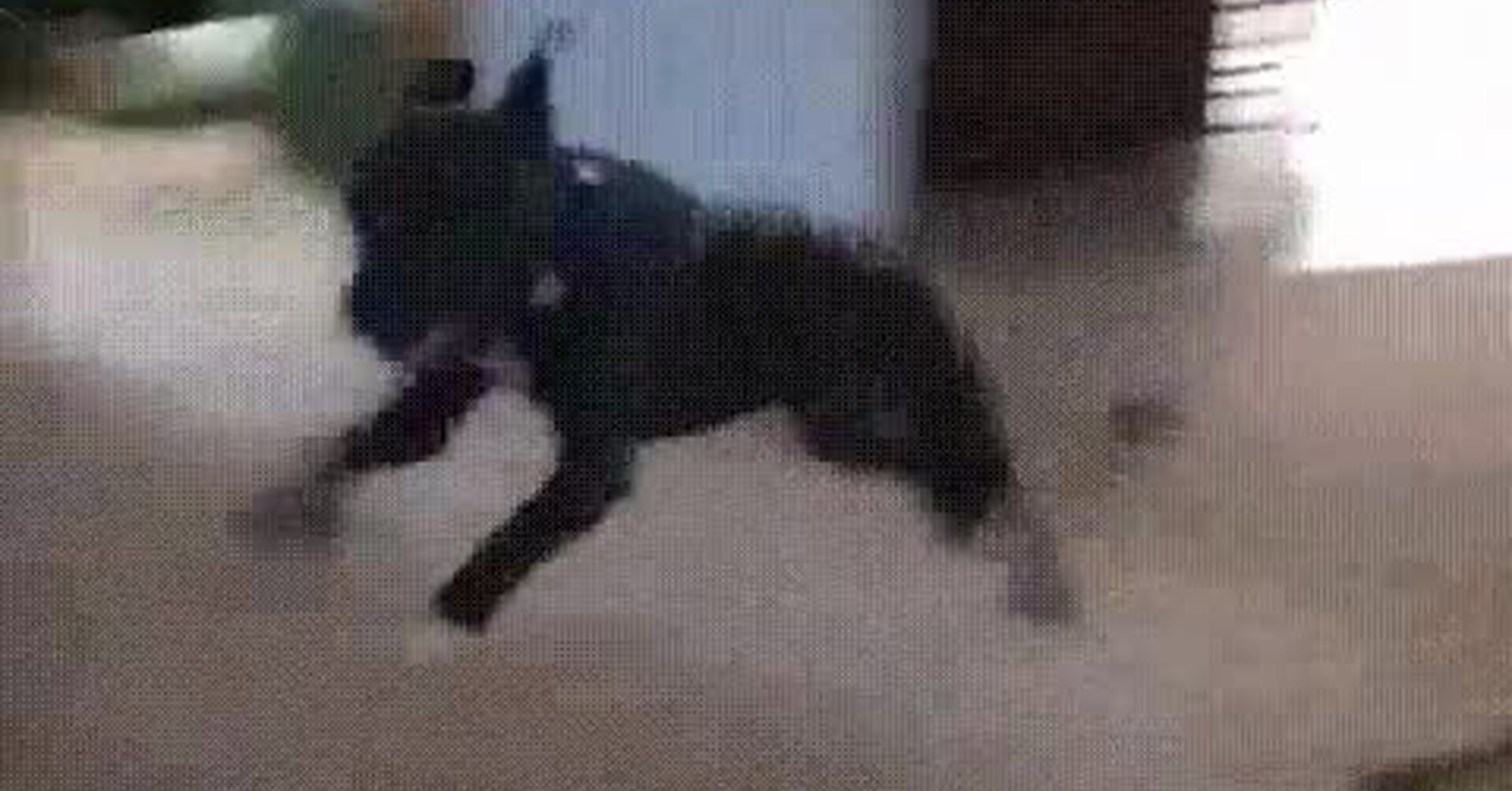 ¡Vaya GIF! / Cuidado con el hueco entre sofás