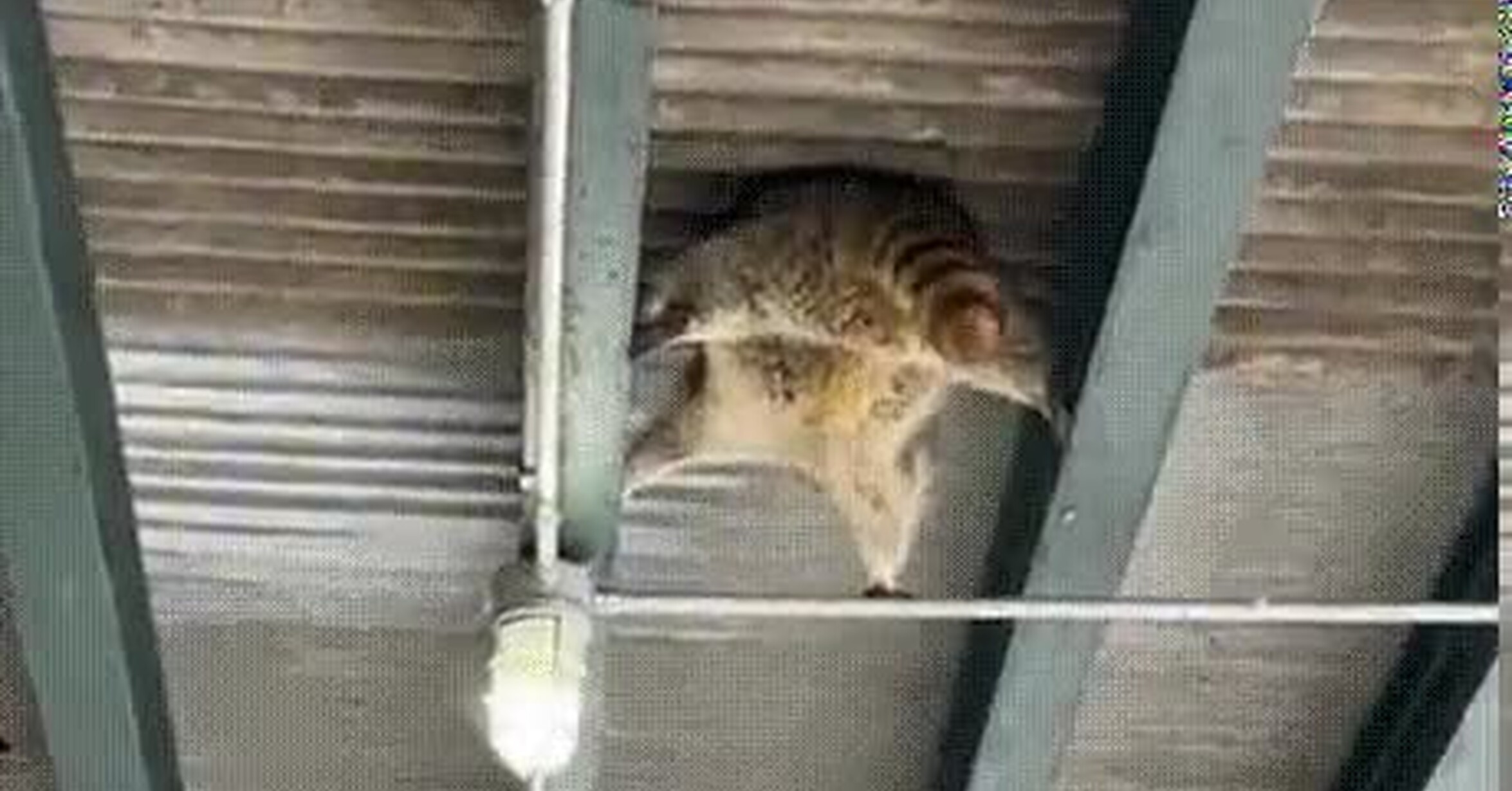 ¡Vaya GIF! / Tengo que decir que estoy impresionado