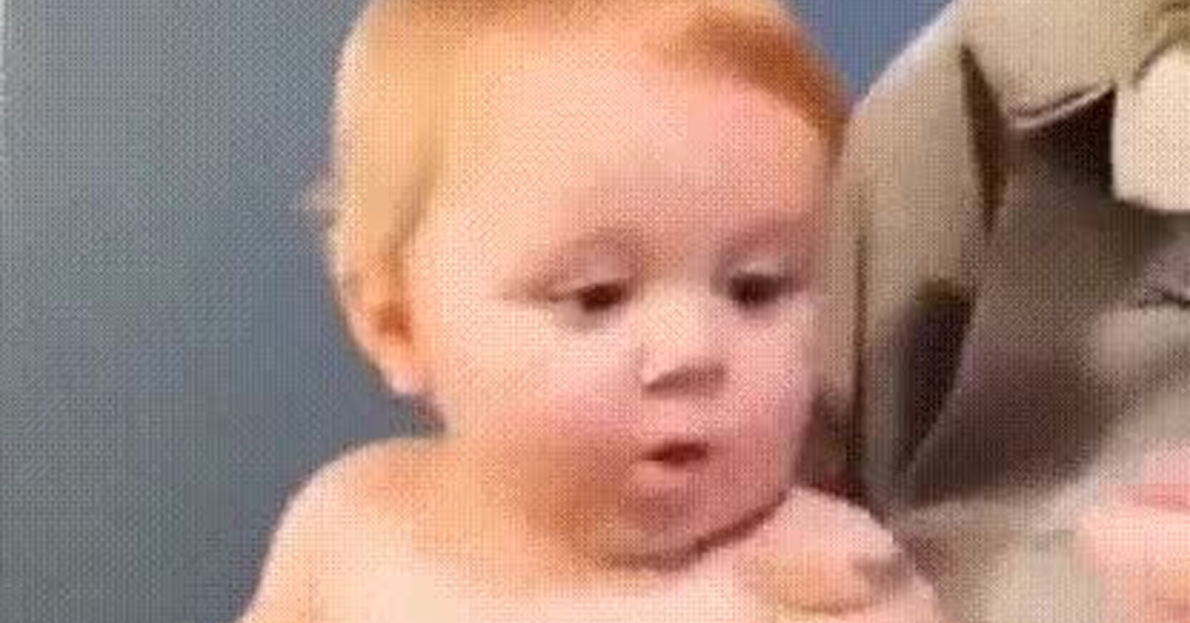 ¡Vaya GIF! / Por su reacción creo que le ha gustado