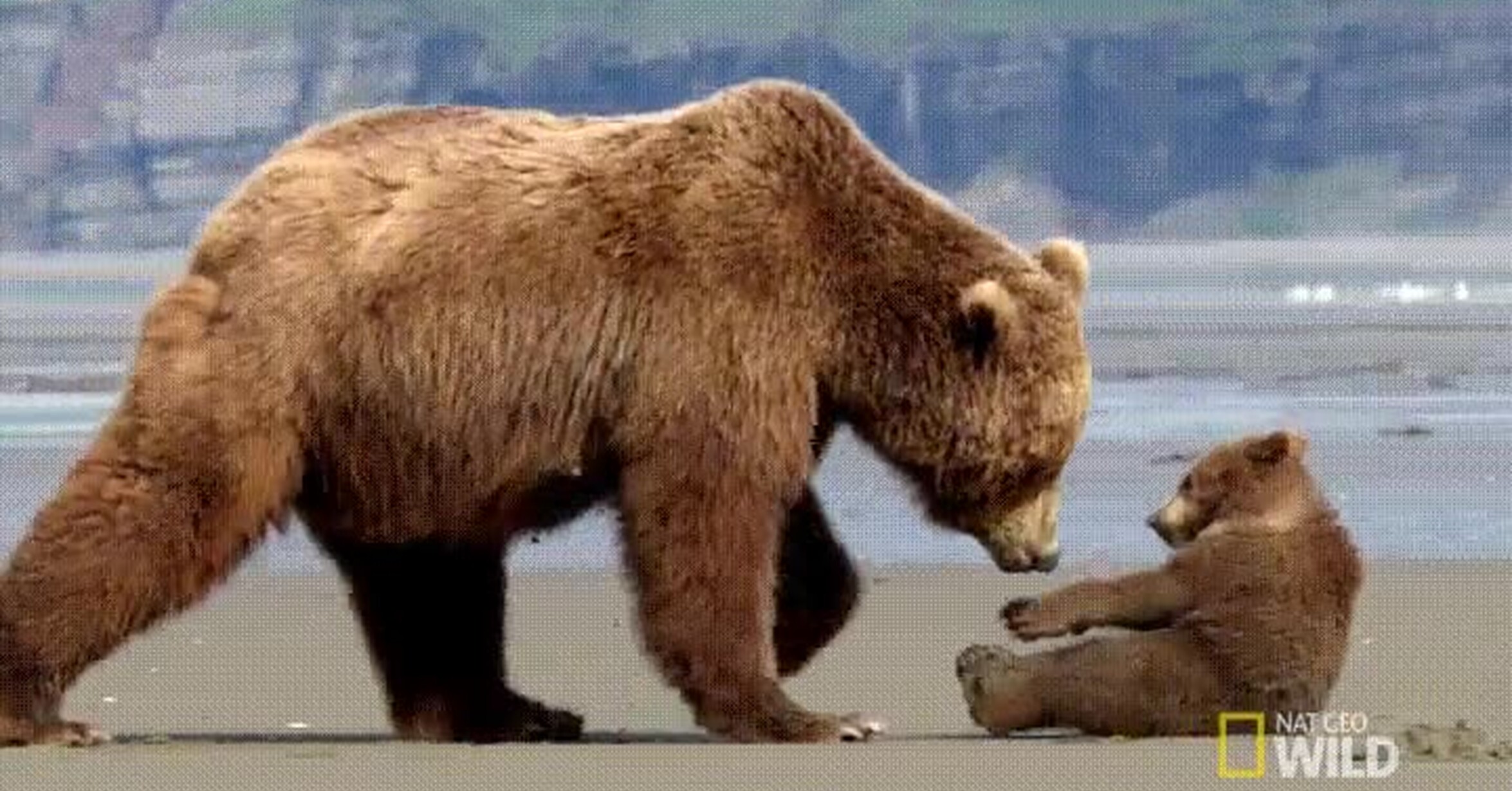 ¡Vaya GIF! / Lucha conmigo mamá, ahora se karate