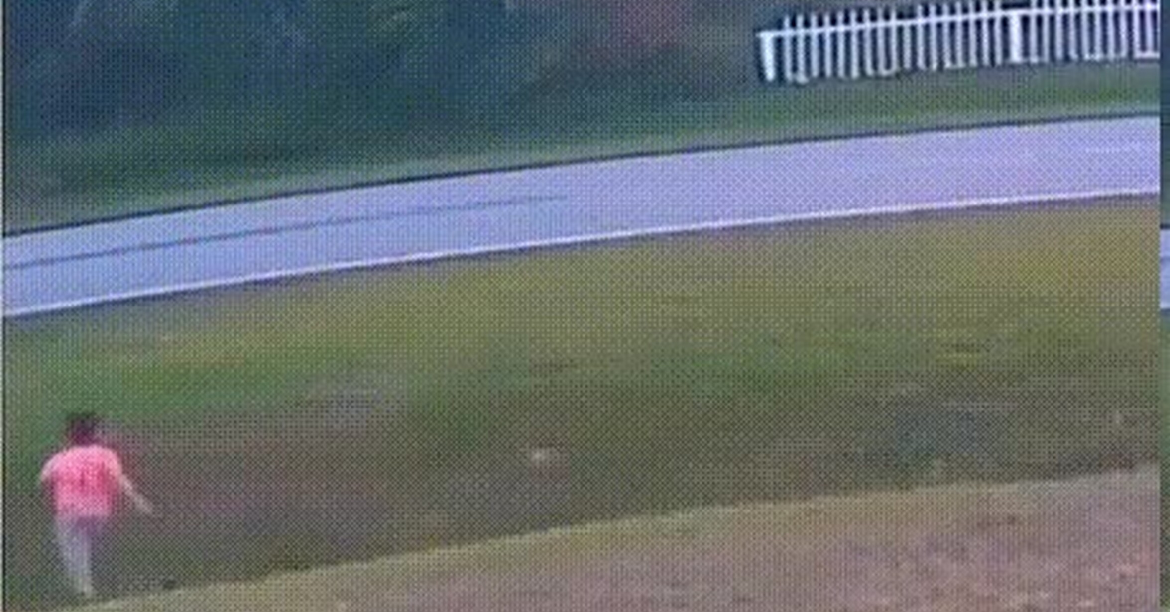 ¡Vaya GIF! / Protegiendo a su mejor amigo