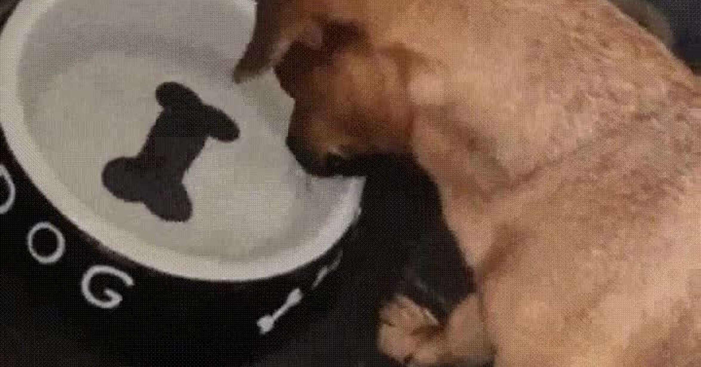 ¡Vaya GIF! / Lleva media hora intentando resolver el puzzle