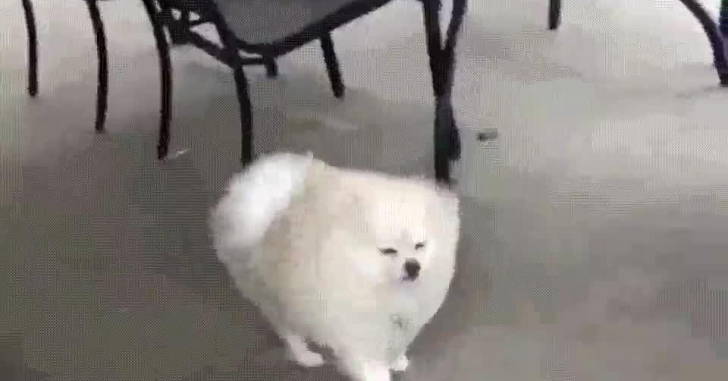 ¡Vaya GIF! / Ahora entiendo lo que sentía Kirby