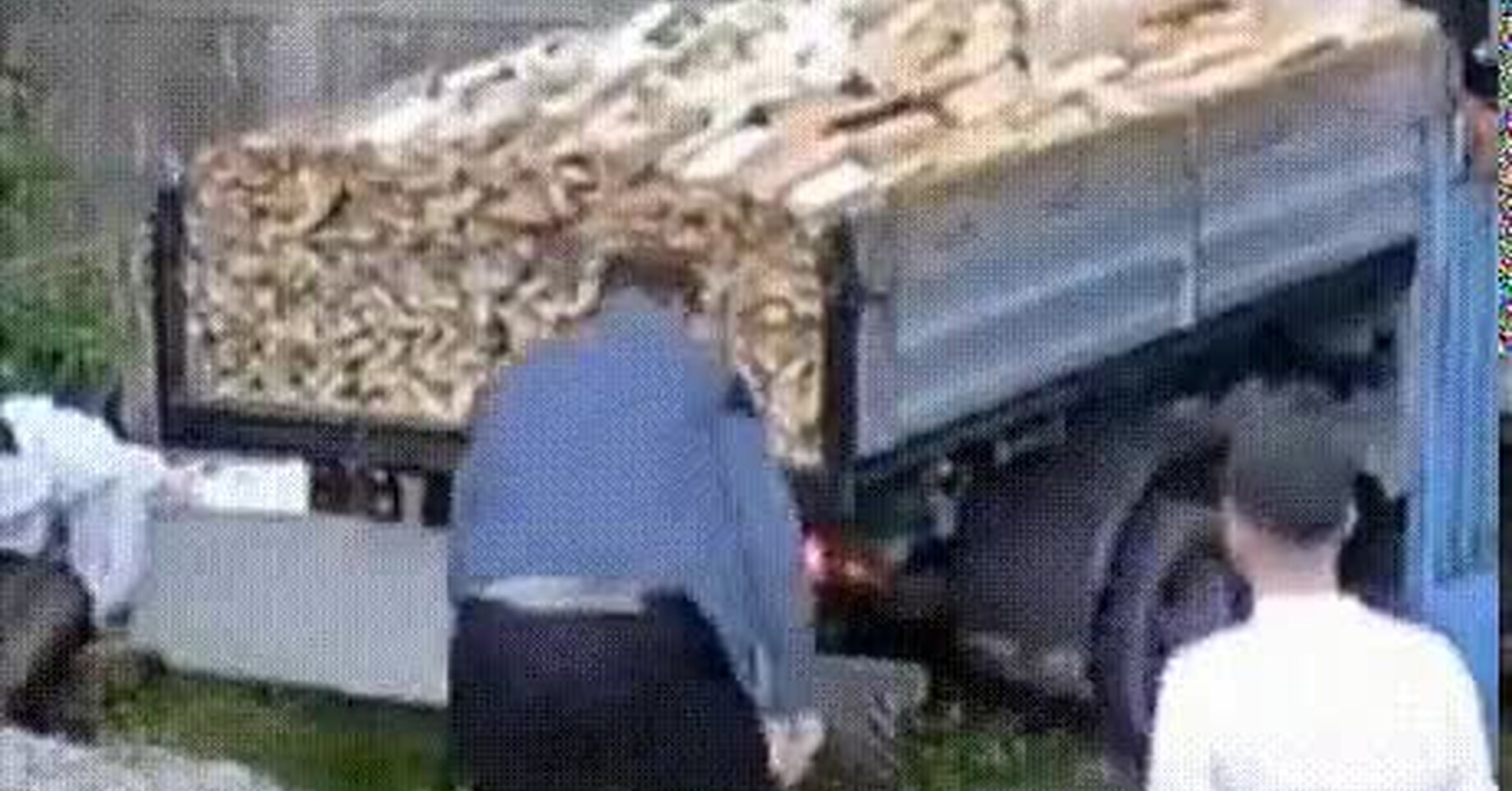 ¡Vaya GIF! / ¿Se puede saber qué acaba de pasar?