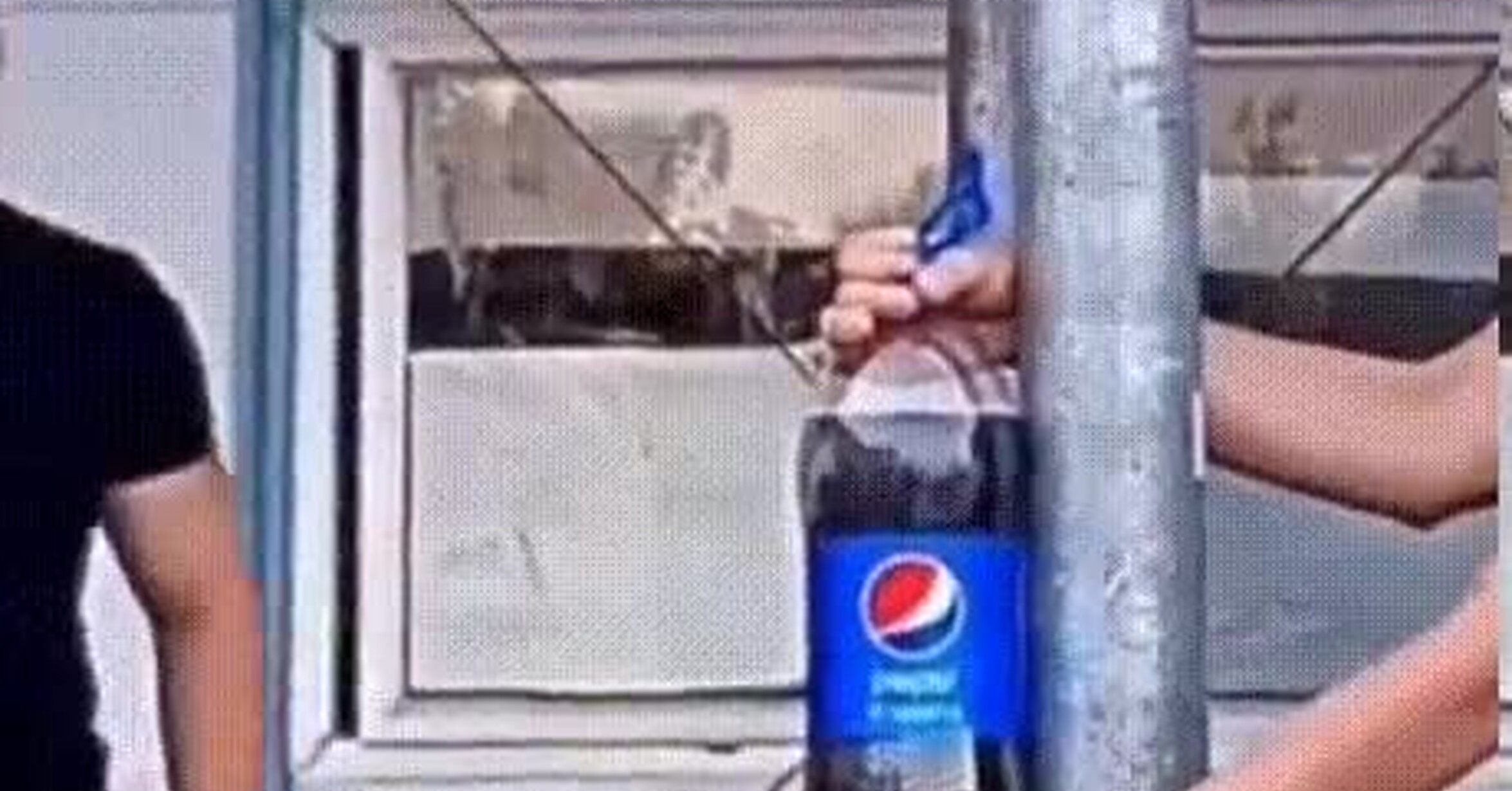 ¡Vaya GIF! / Pepsi