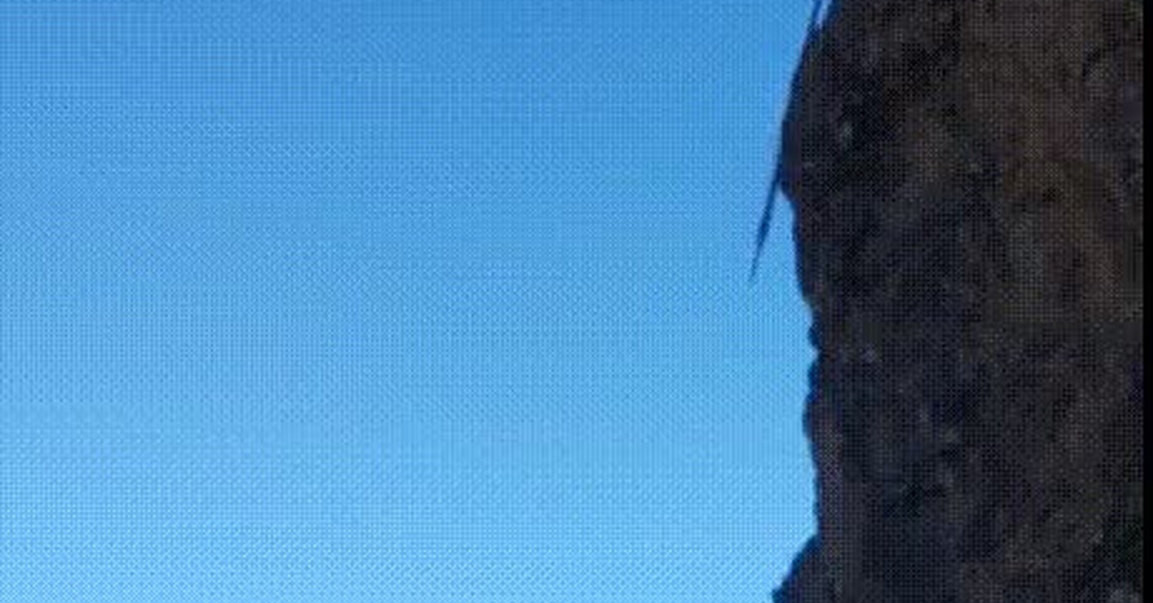 ¡Vaya GIF! / Cómo sobrevivir deslizándose por un palo simplemente