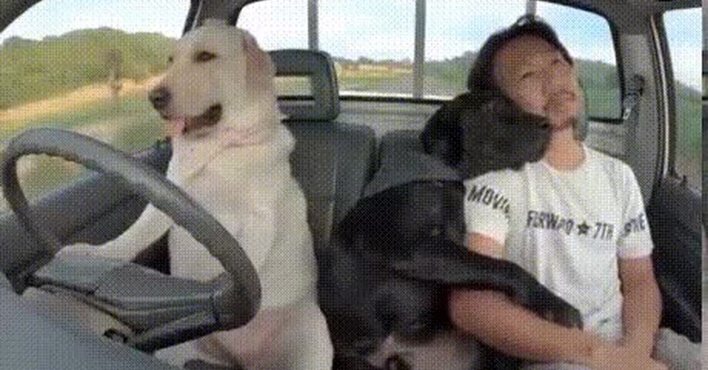 ¡Vaya GIF! / Está enfermo y ha enseñado a su perro a conducir por el