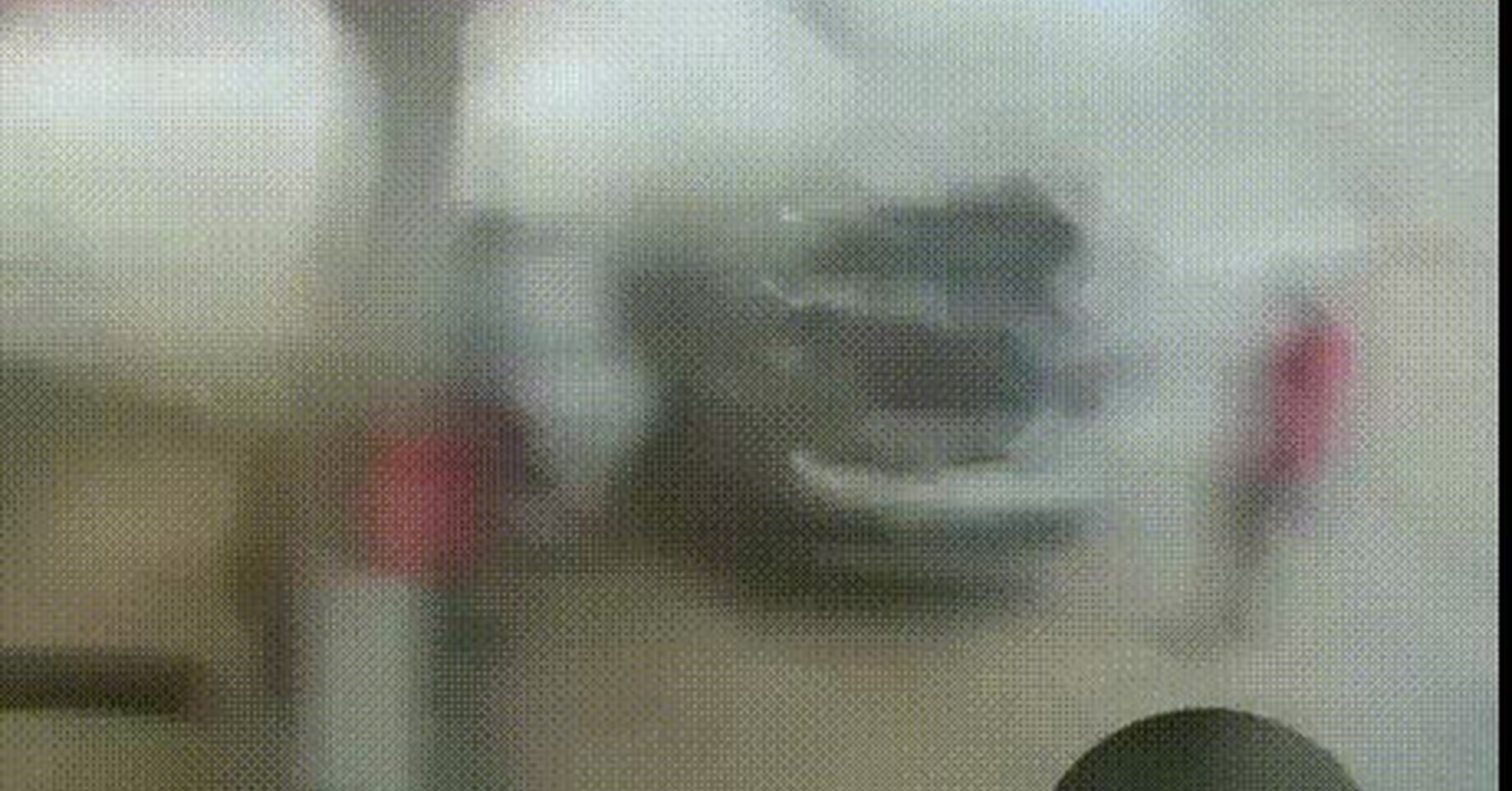 ¡Vaya GIF! / Vaya liada en apenas unos segundos