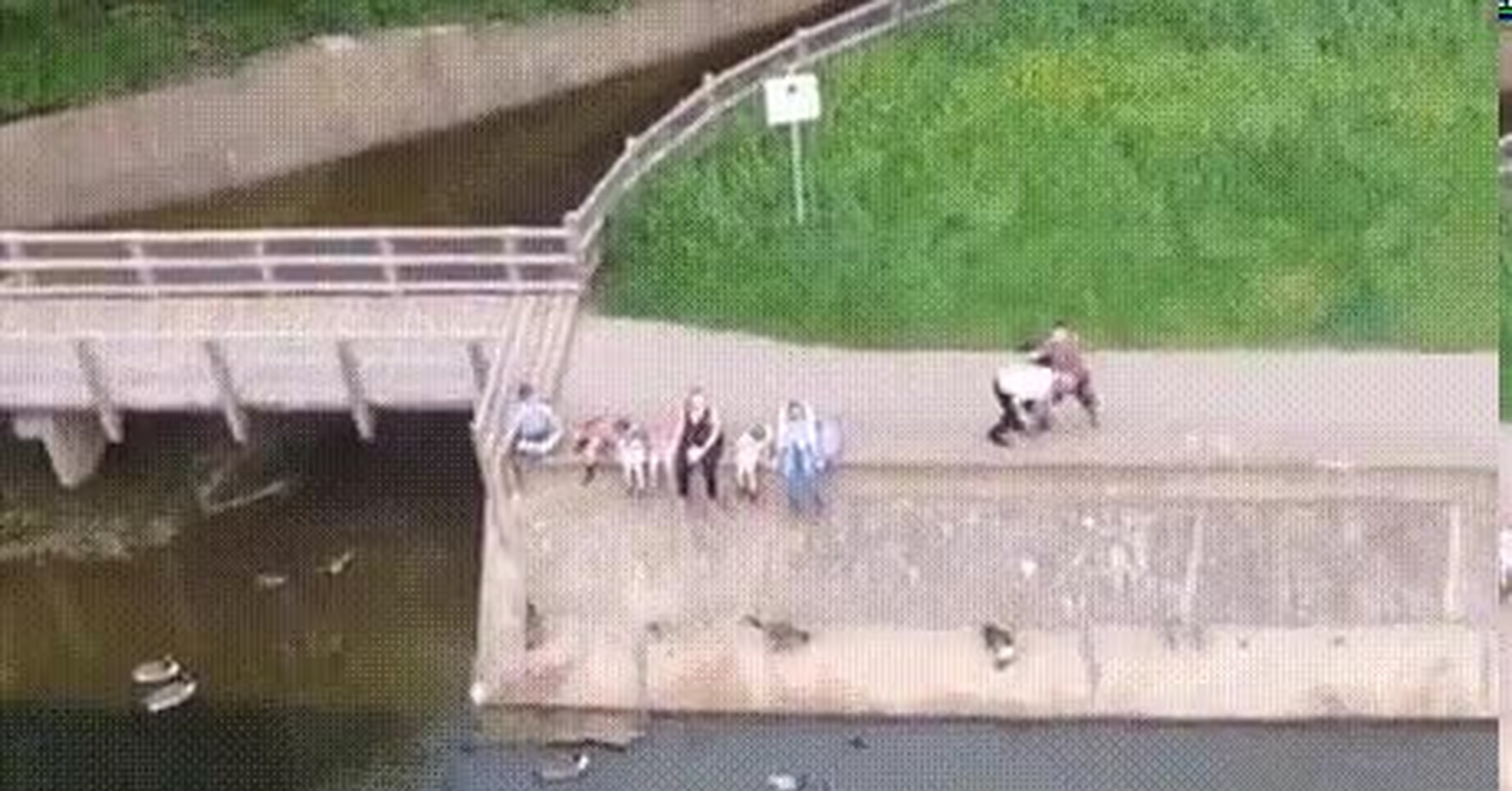 ¡Vaya GIF! / La liada después de que un dron se quede sin batería