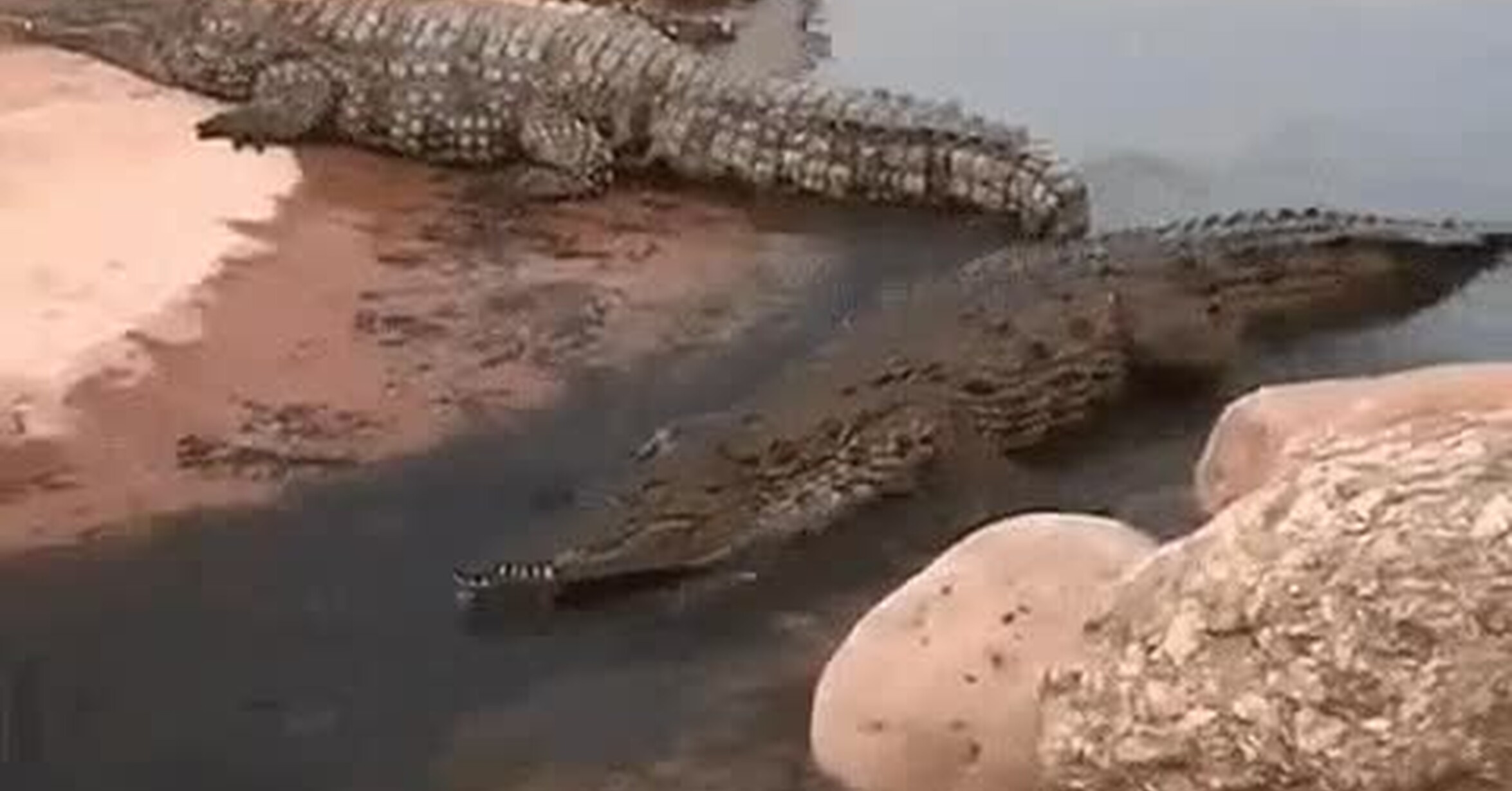 ¡Vaya GIF! / Se nota que no es la primera vez que lo hace