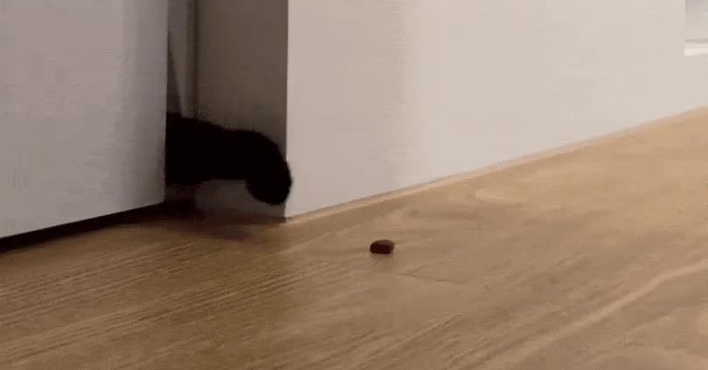 ¡Vaya GIF! / Cuando le tengo que pedir perdón a mi novia