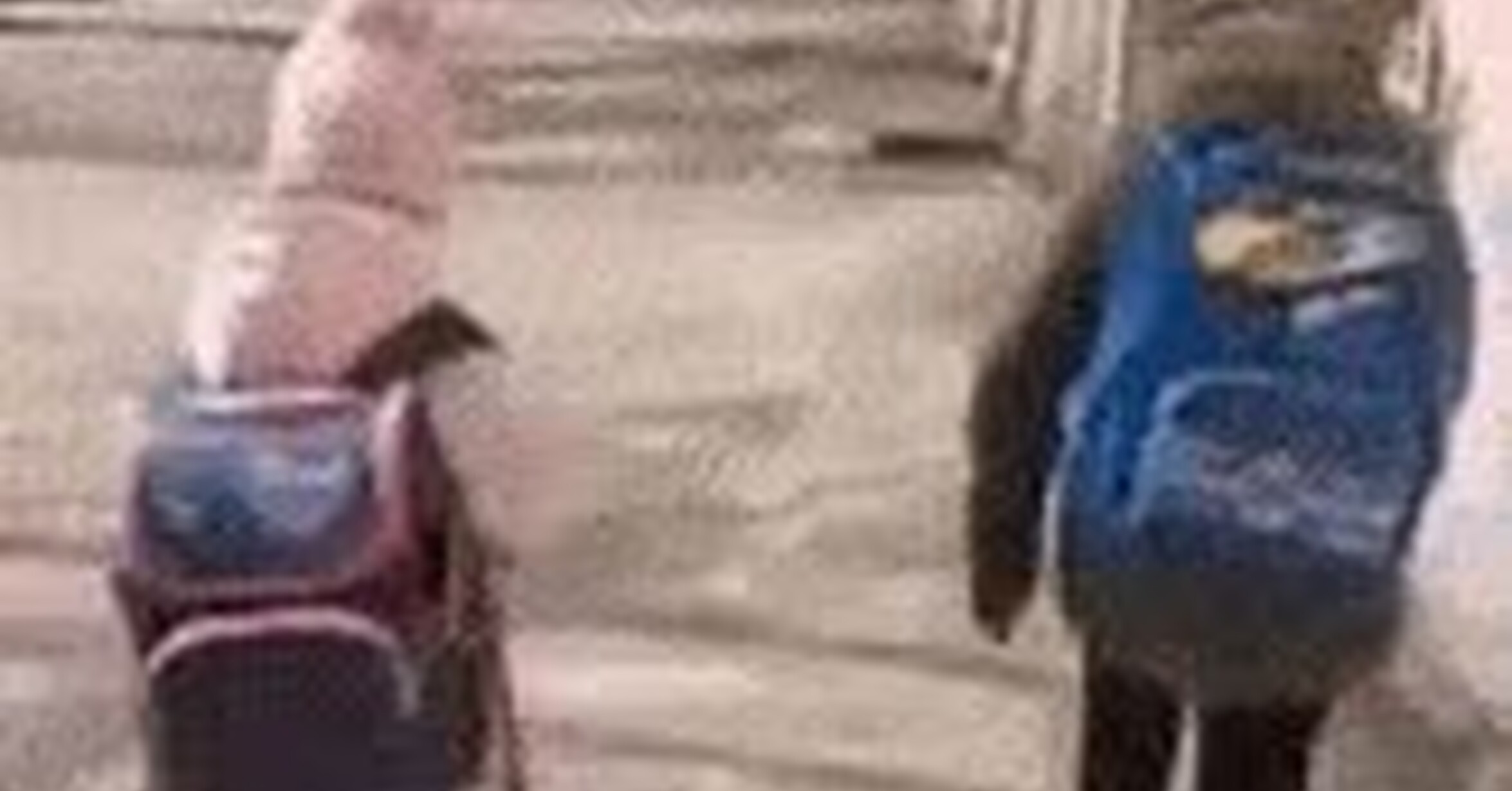 ¡Vaya GIF! / ¿Qué hay dentro de la mochila?
