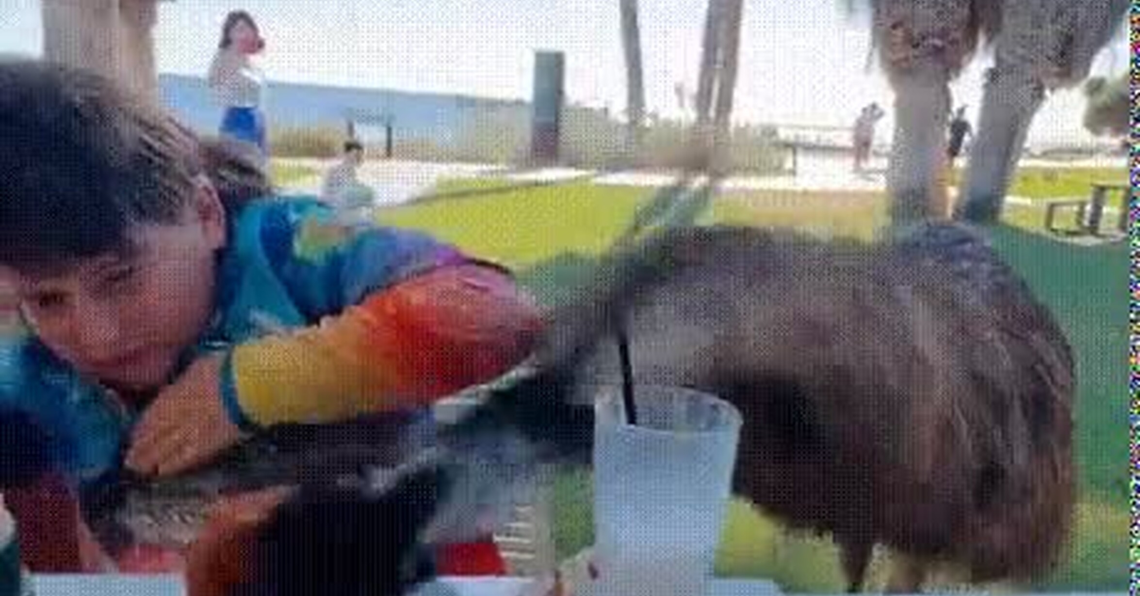 ¡Vaya GIF! / El típico desayuno en Australia