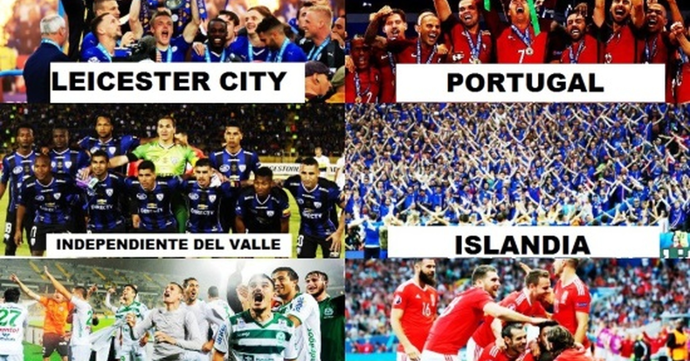 [ MEMEDEPORTES ] Temporada de equipos revelación, ¿tu con cual te quedas?