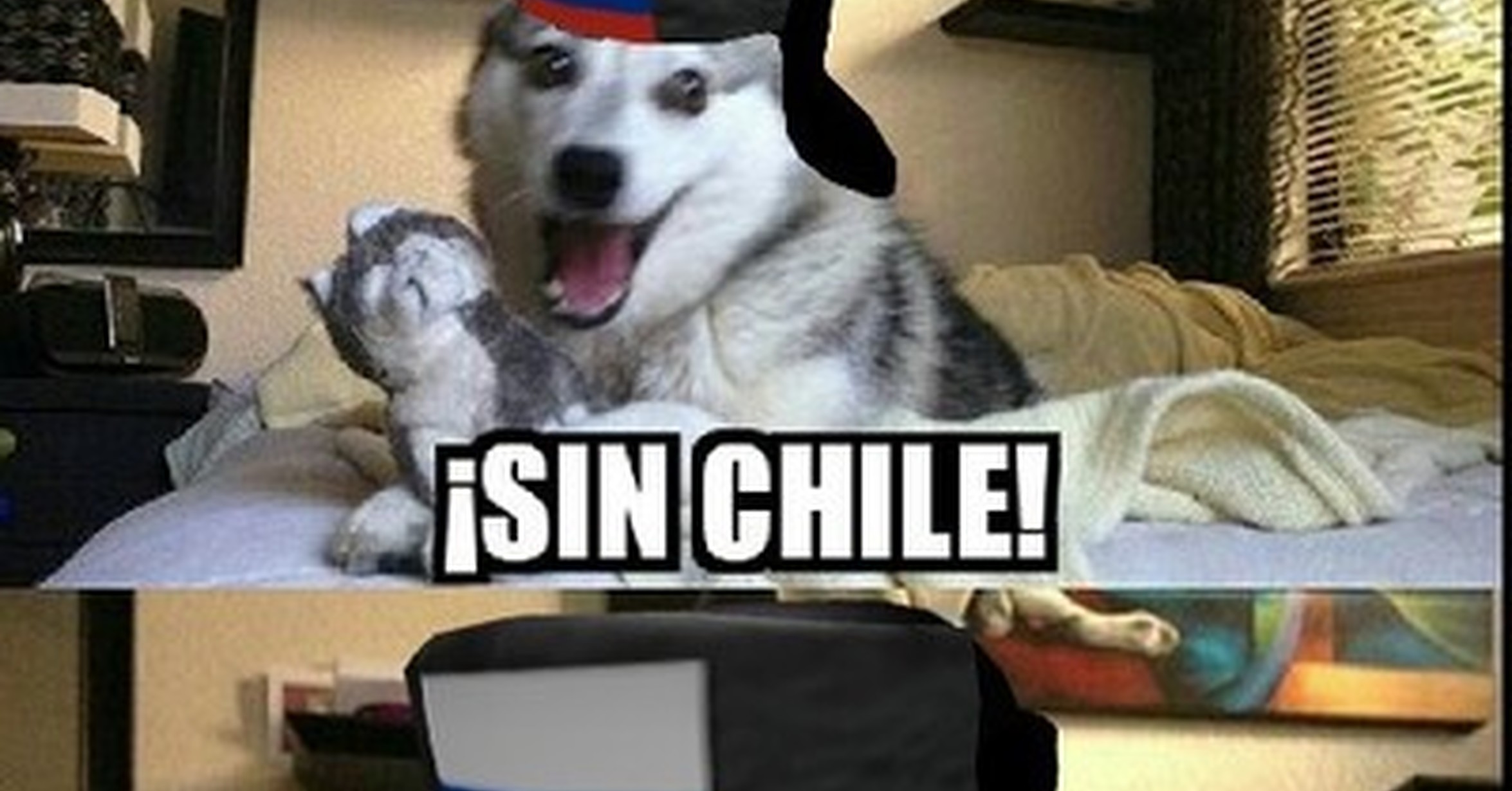 [ MEMEDEPORTES ] El perro tiene la culpa
