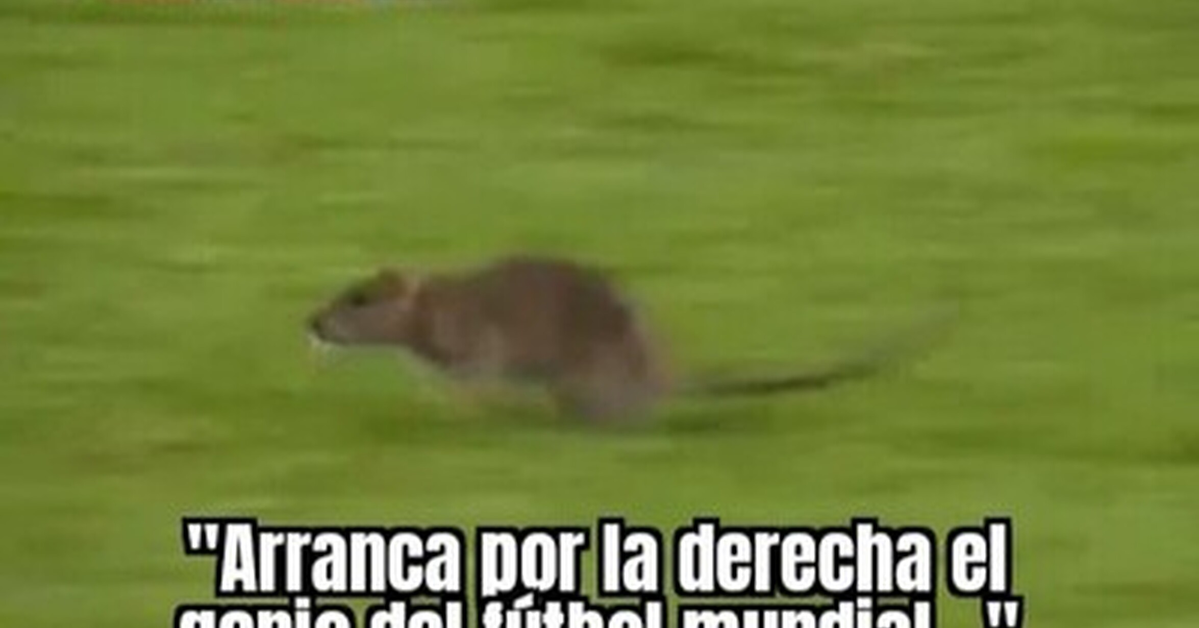 [ MEMEDEPORTES ] Ratatatatata....