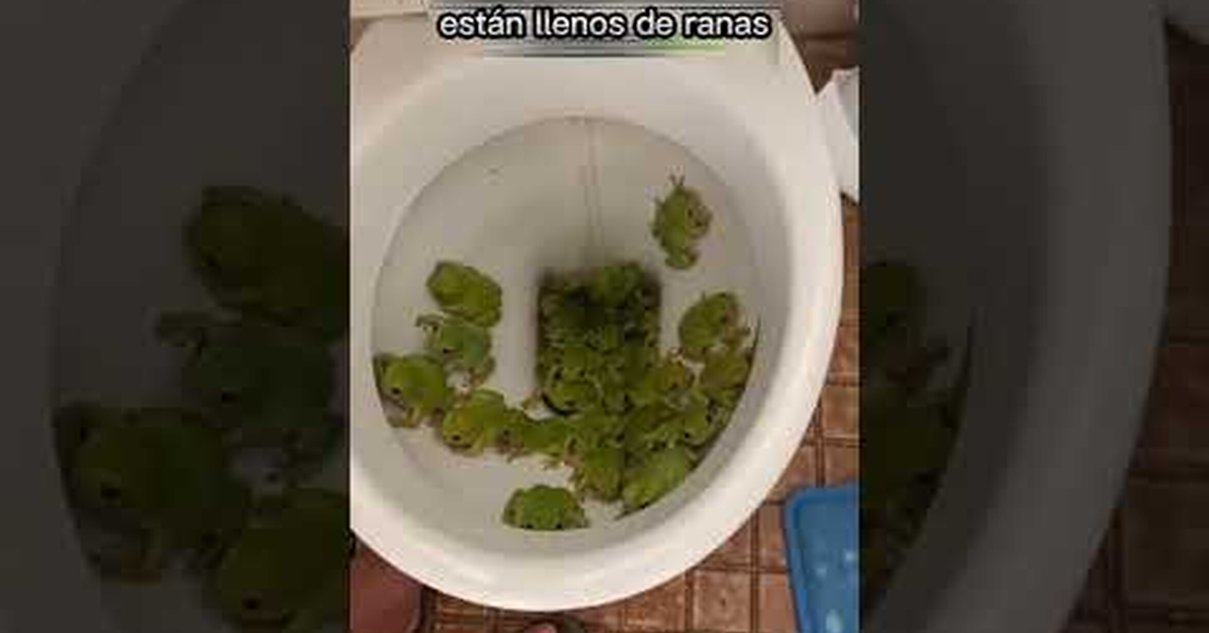 ¡No tengo tele! / Así son los baños en Australia