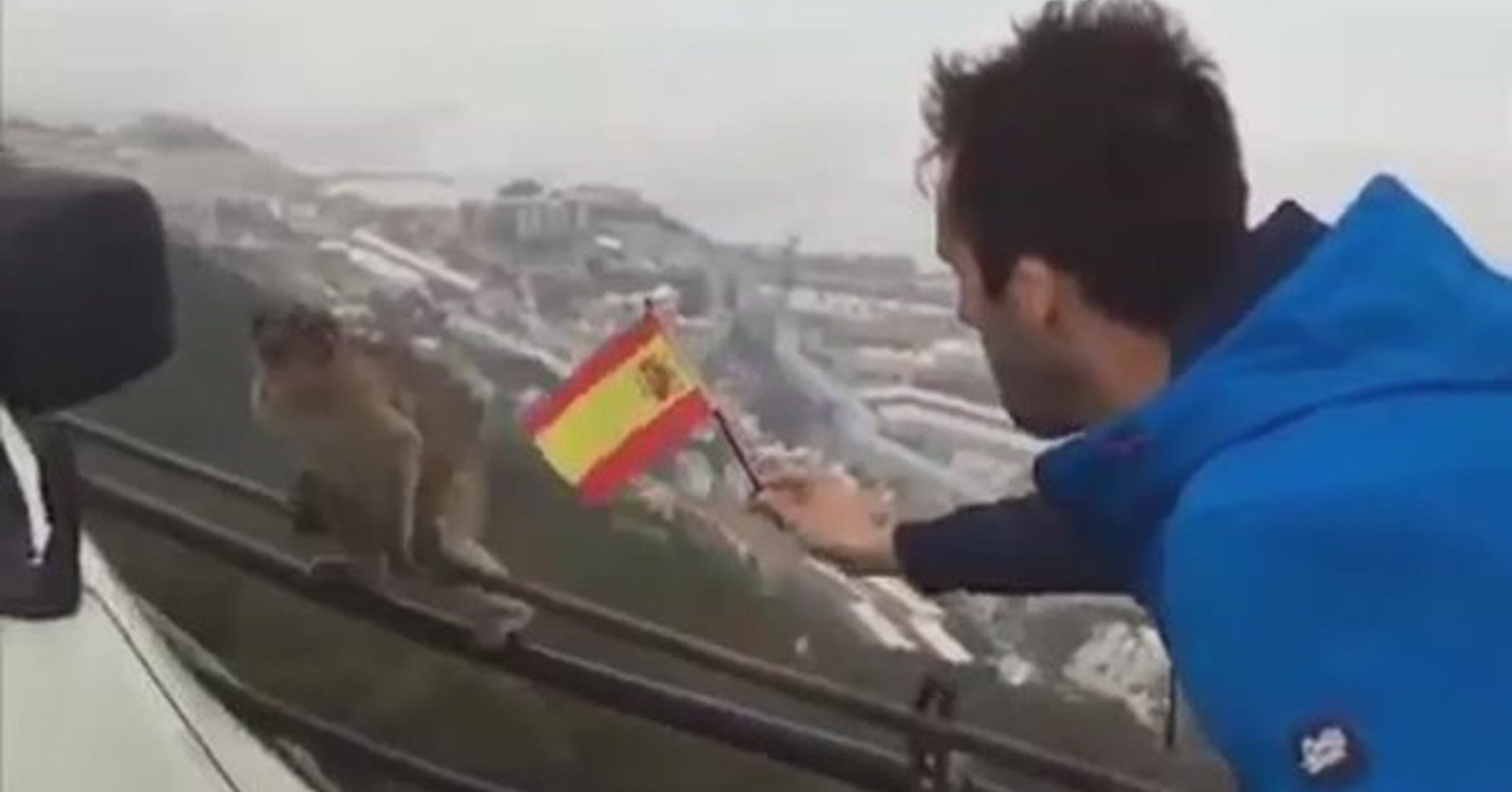 VEF > Visto en las Redes > Explicación con monos de por qué Gibraltar ...