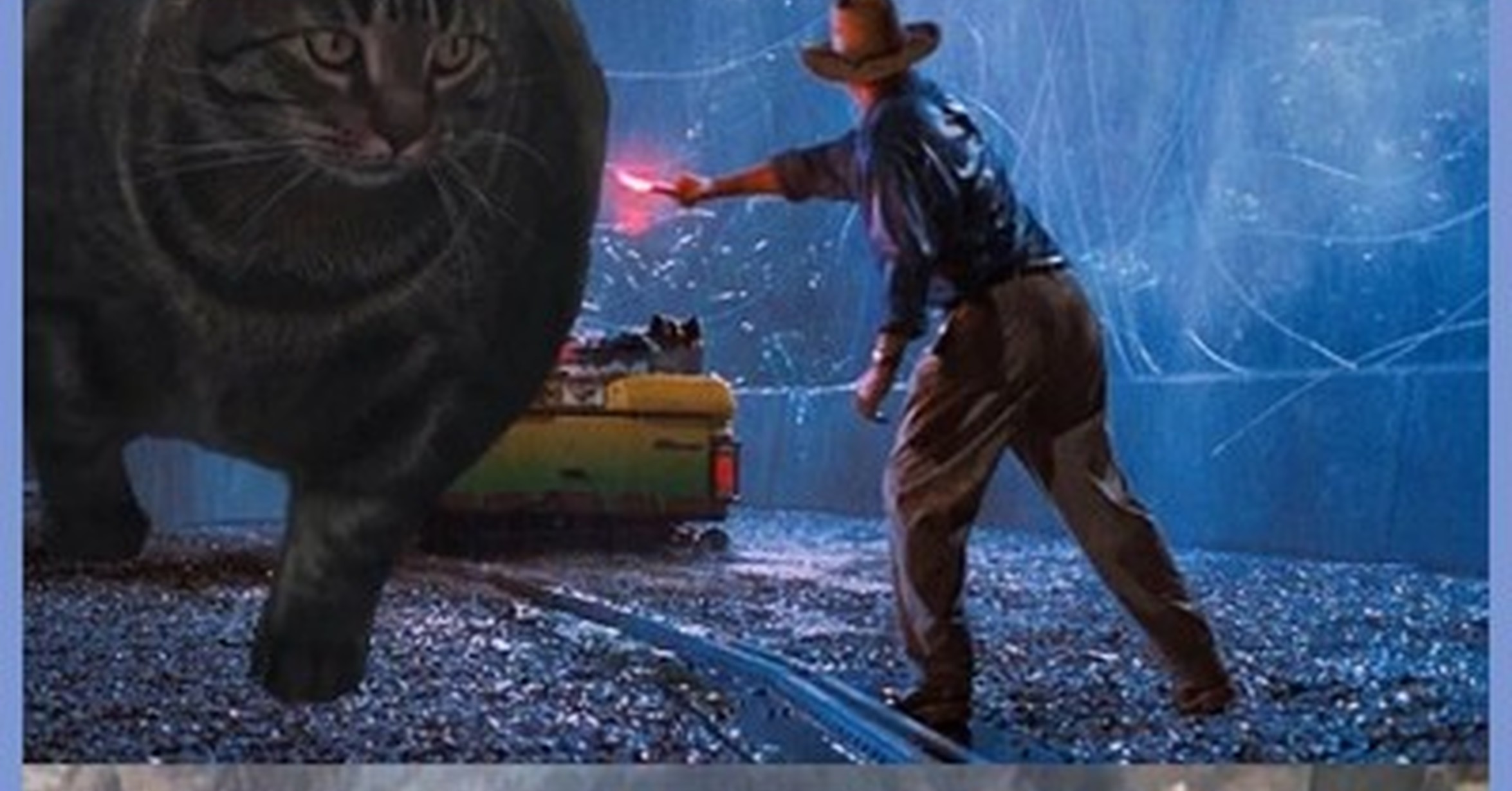 VEF > Visto en las Redes > Conoce a Buff Cat, el gato musuculado que se ...