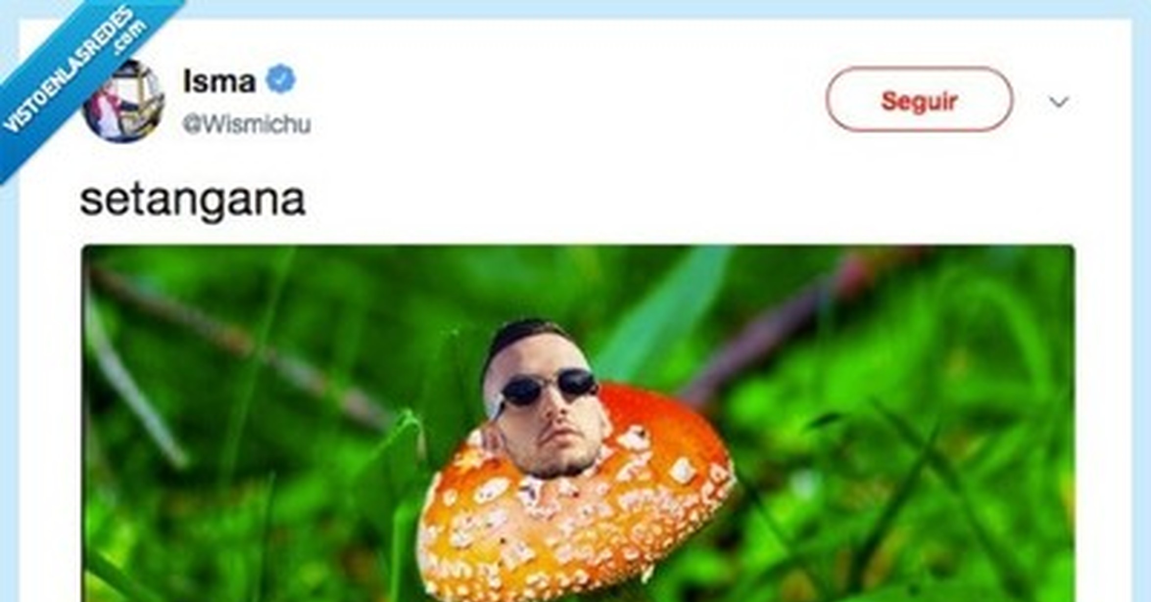 VEF > Visto en las Redes > El hilo de memes de CTangana que lo ha ...