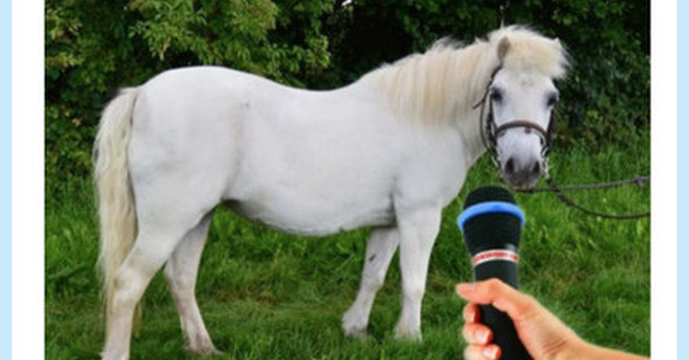 VEF > Visto en las Redes > El poni no quiere volver, por @iExplorerLOL