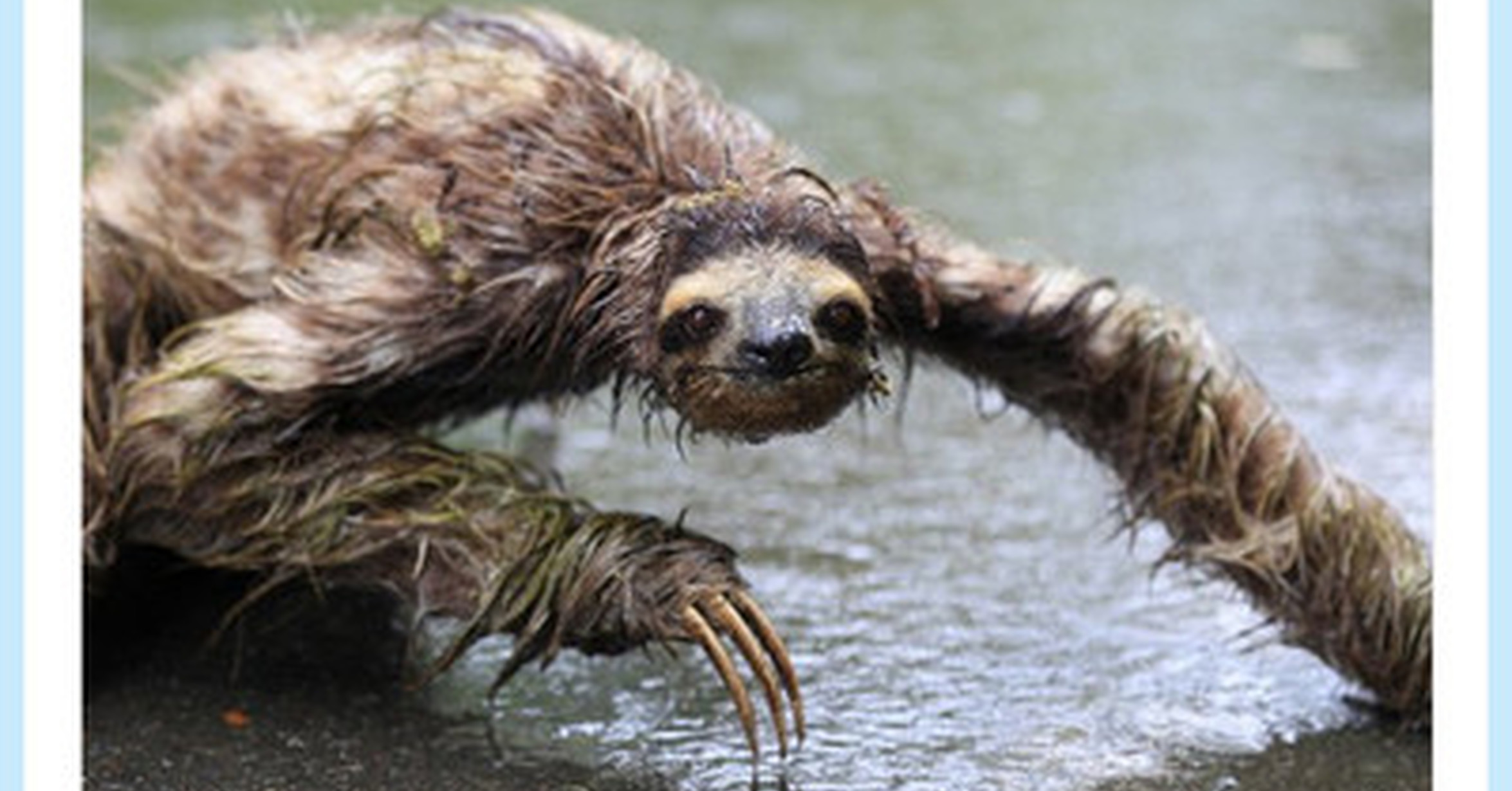 VEF > Visto en las Redes > Es bastante feo la verdad, por @KIud0