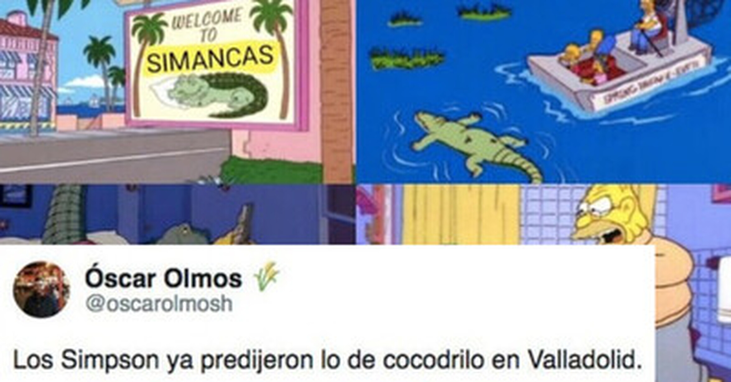 VEF > Visto en las Redes > Cocodrilo o nutria, los mejores memes del ...